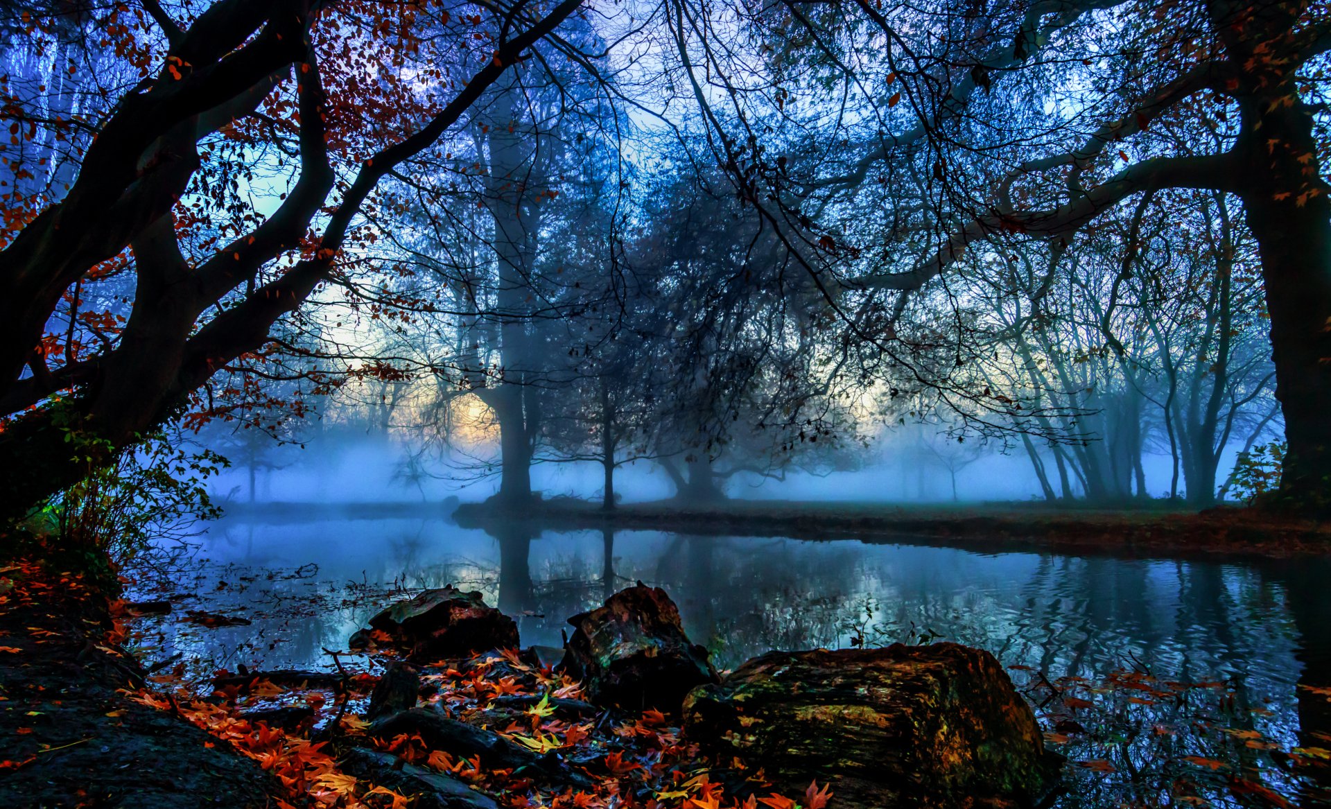 Misty River Reflections: A Tranquil Fall Leaf in Nature’s HD Embrace ...
