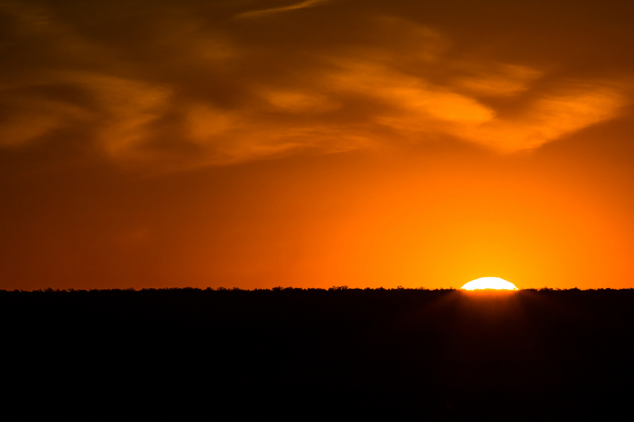 Download Sky Sun Orange (Color) Nature Sunset HD Wallpaper