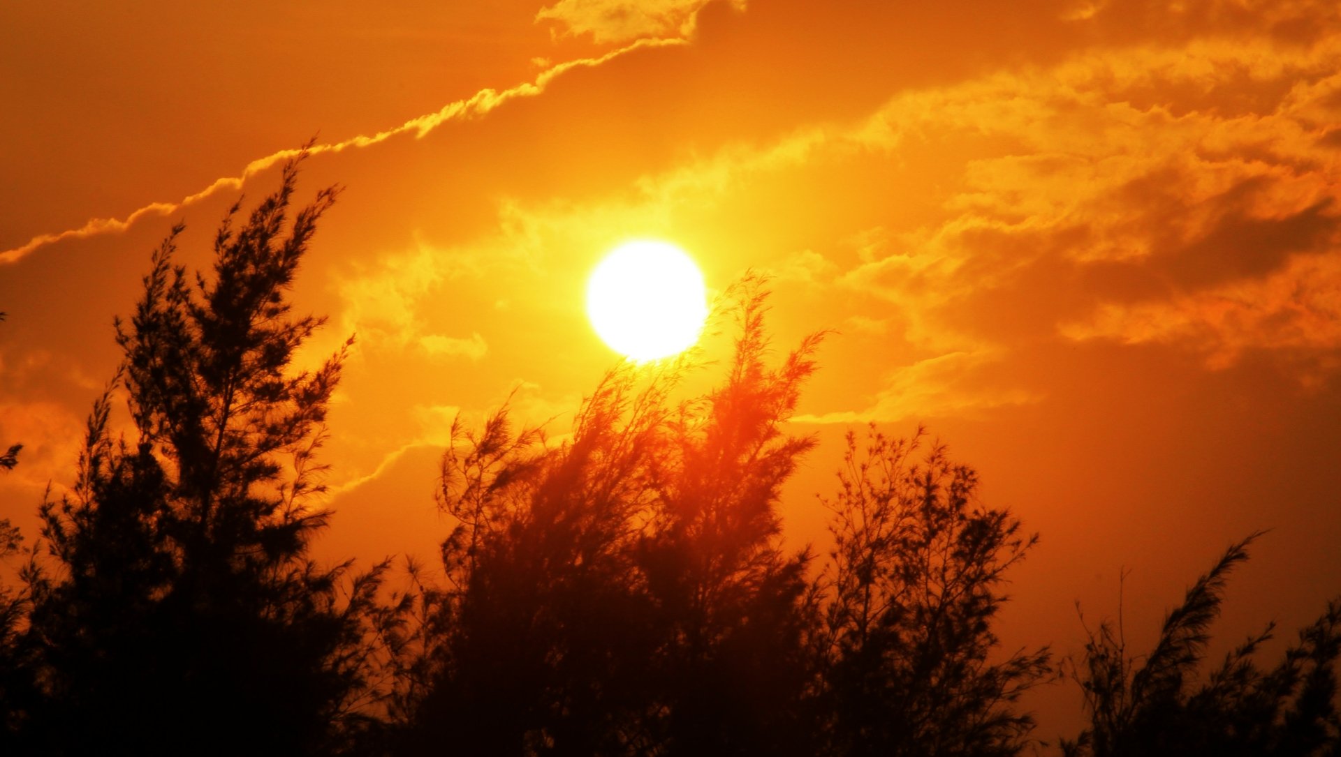 Windy Sunset by Hieu353Extrope | 5184x2929 | Wallpaper Abyss