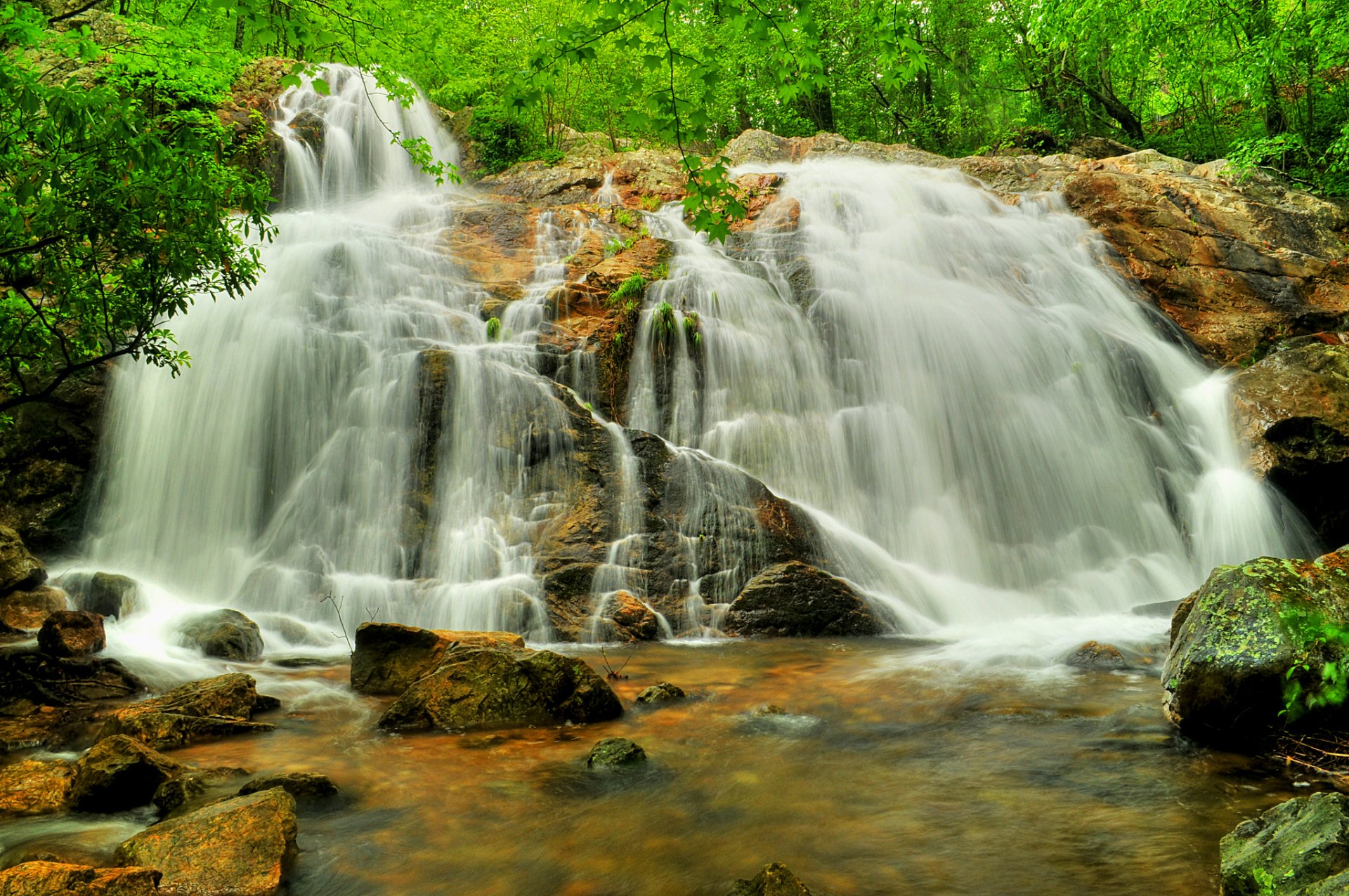 Download Forest Green Nature Waterfall HD Wallpaper