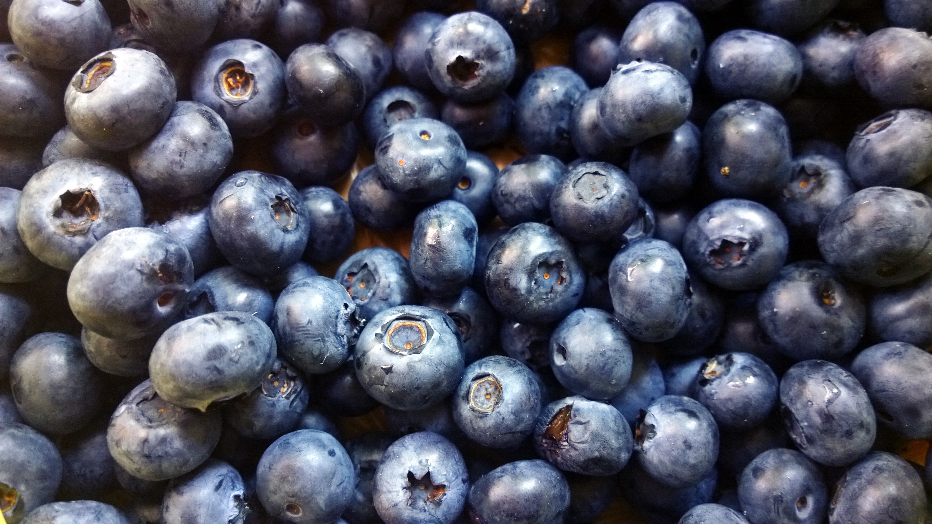 Download Fruit Berry Food Blueberry HD Wallpaper