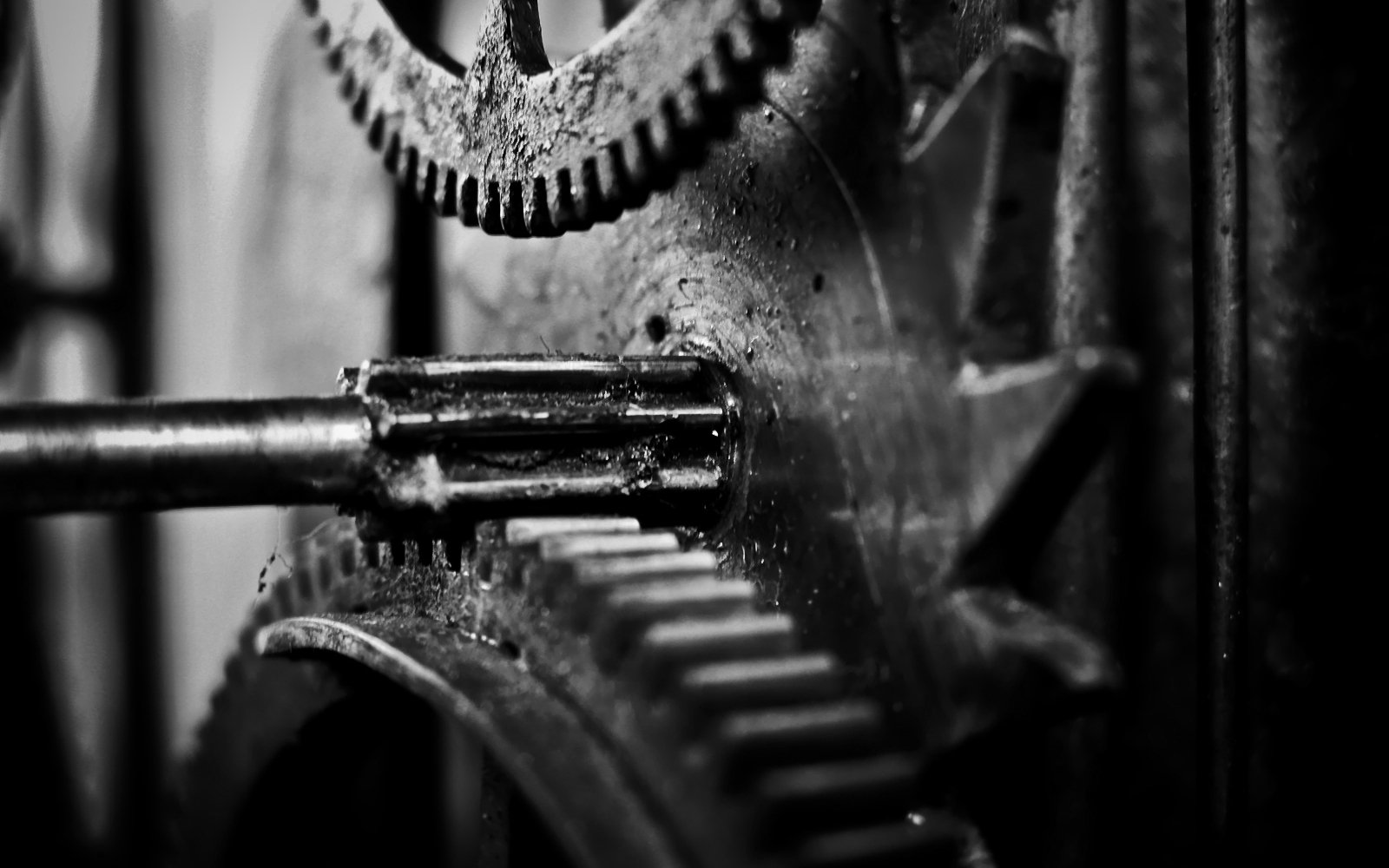 Download Photography Close Up Wallpaper