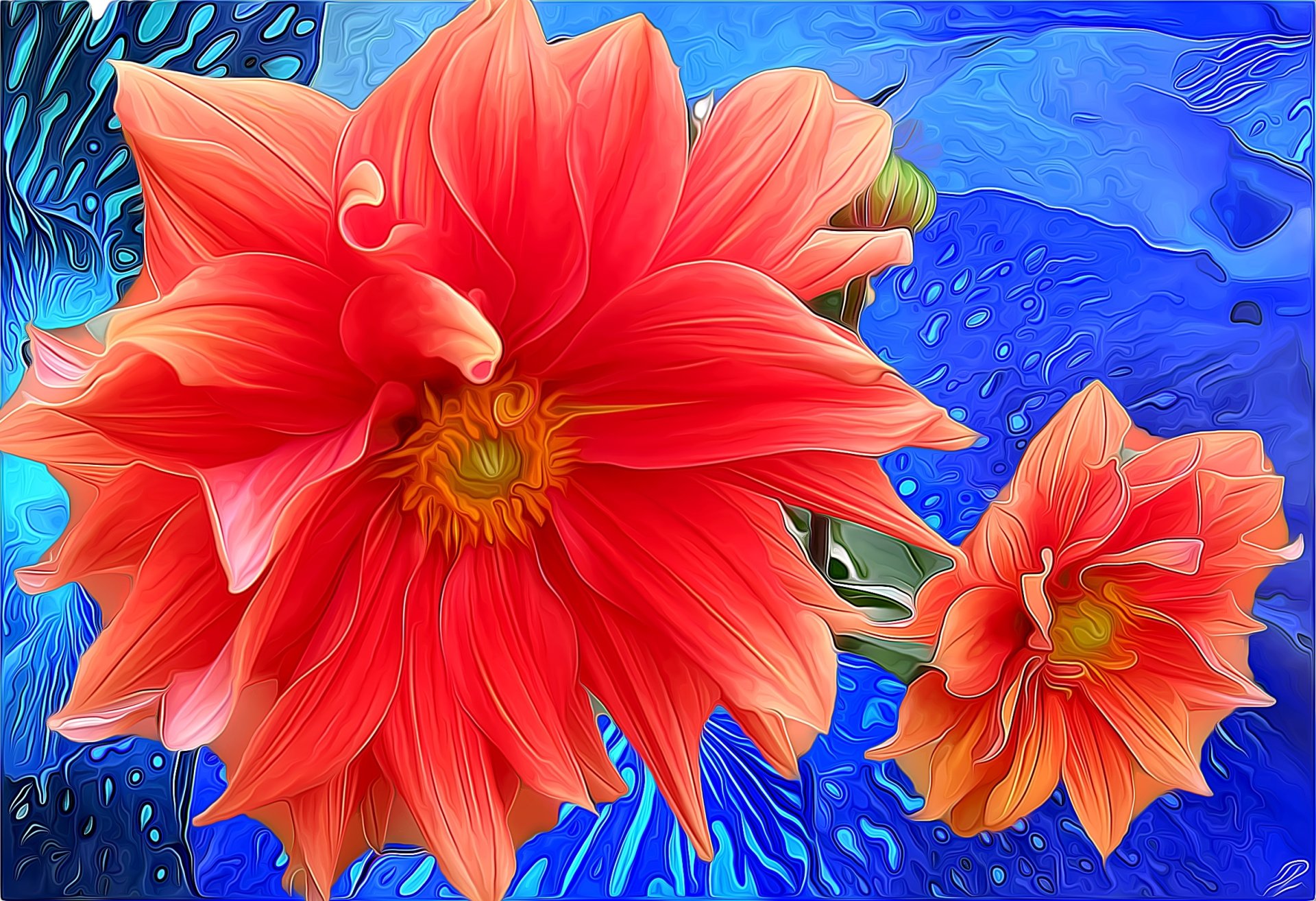 Orange Dahlia & Pink Daisy — Painterly Colorburst HD Wallpaper ...