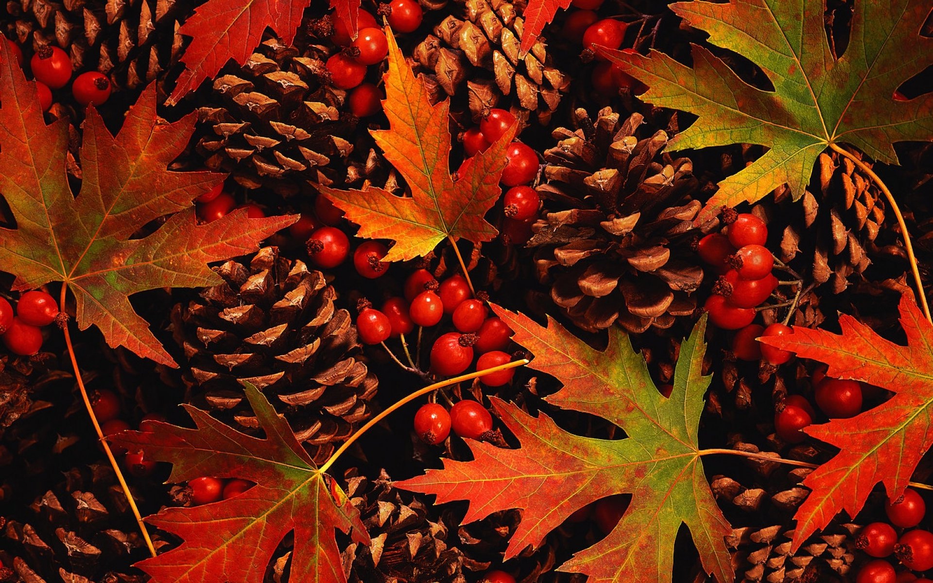 Autumn Essence: HD Wallpaper of Pine Cones, Berries, and Leaves