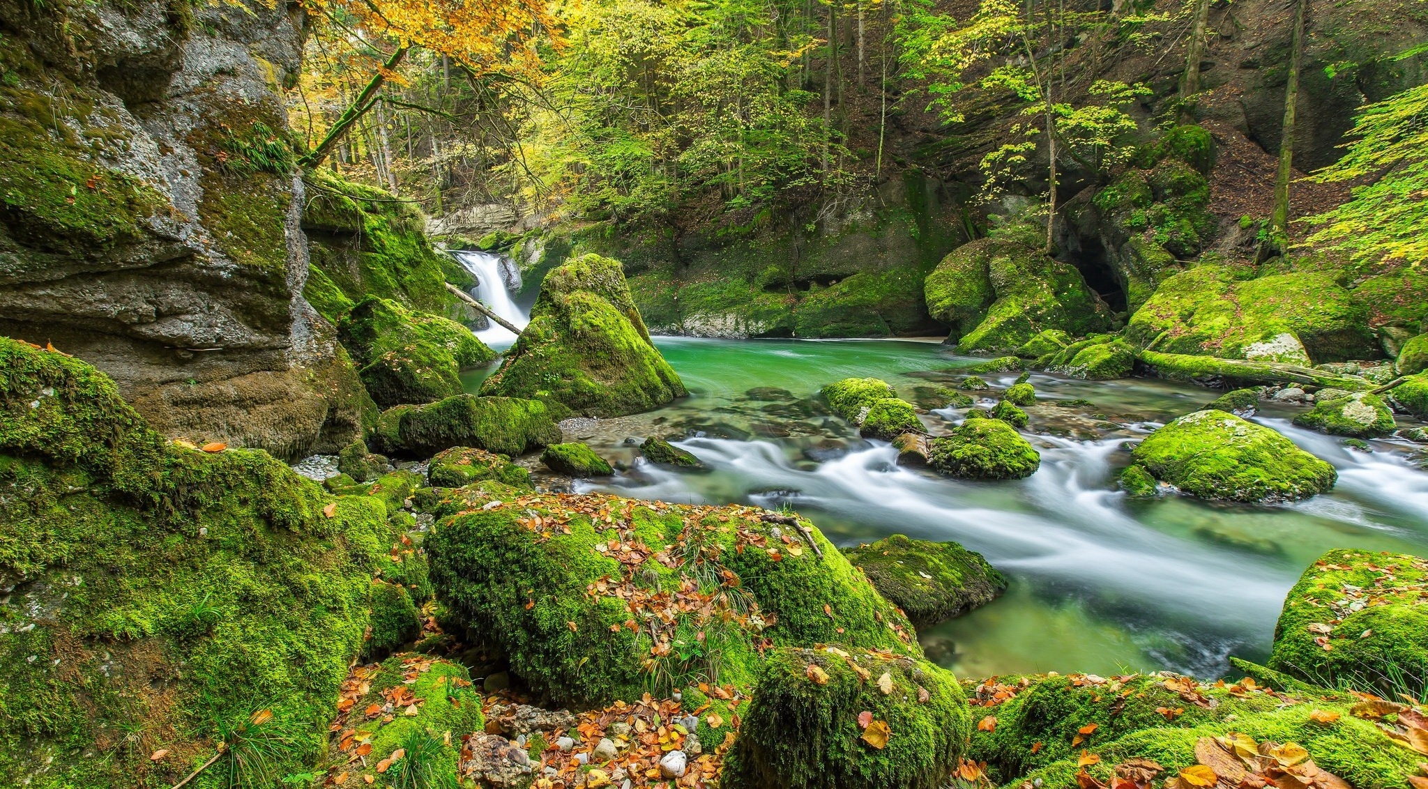 Download Waterfall Moss Nature River HD Wallpaper