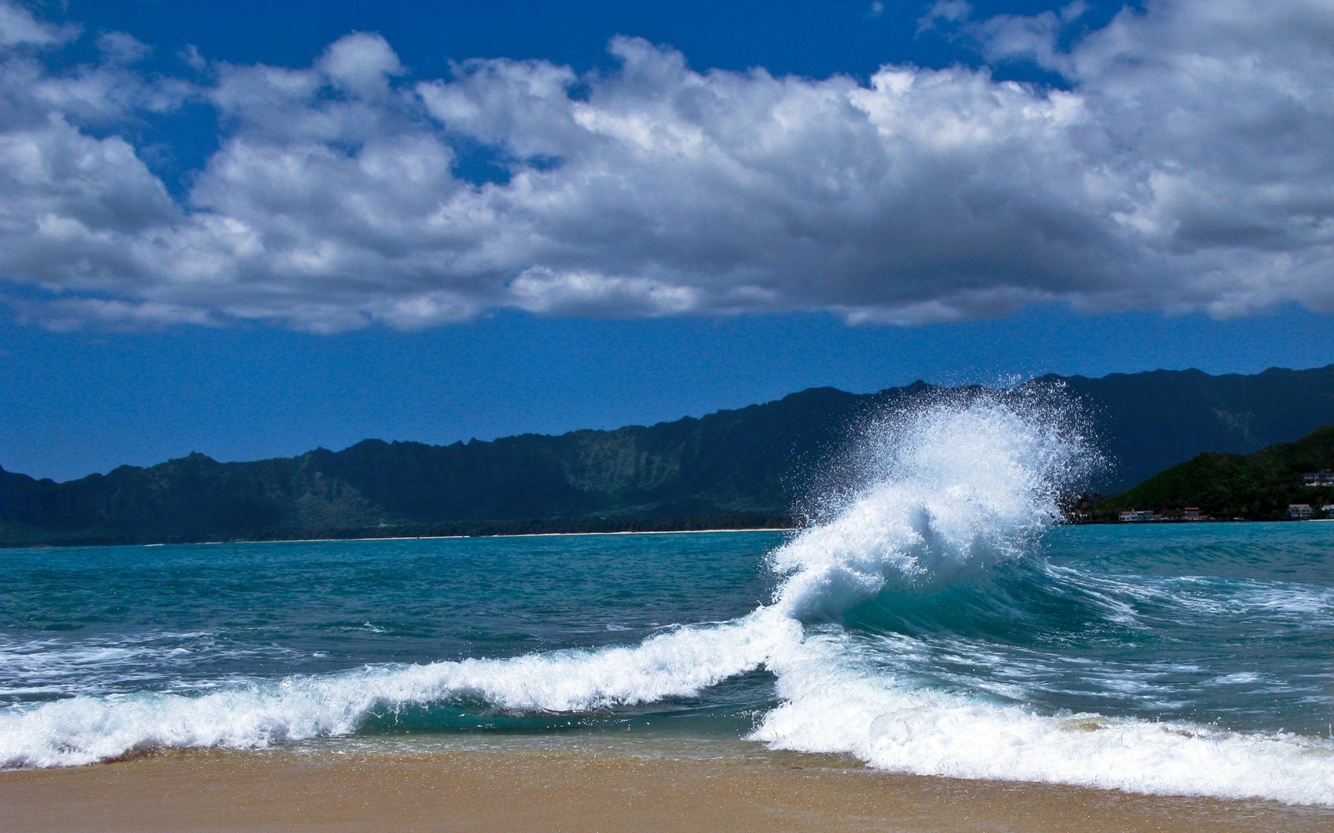 Download Beach Sea Ocean Nature Wave Ocean Waves HD Wallpaper ...