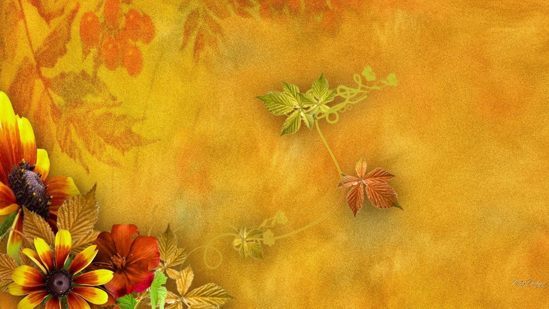 Download Leaf Flower Colors Artistic Fall HD Wallpaper by MaDonna