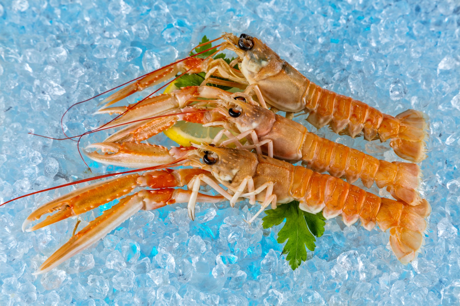 Download Ice Seafood Food Shrimp 4k Ultra HD Wallpaper