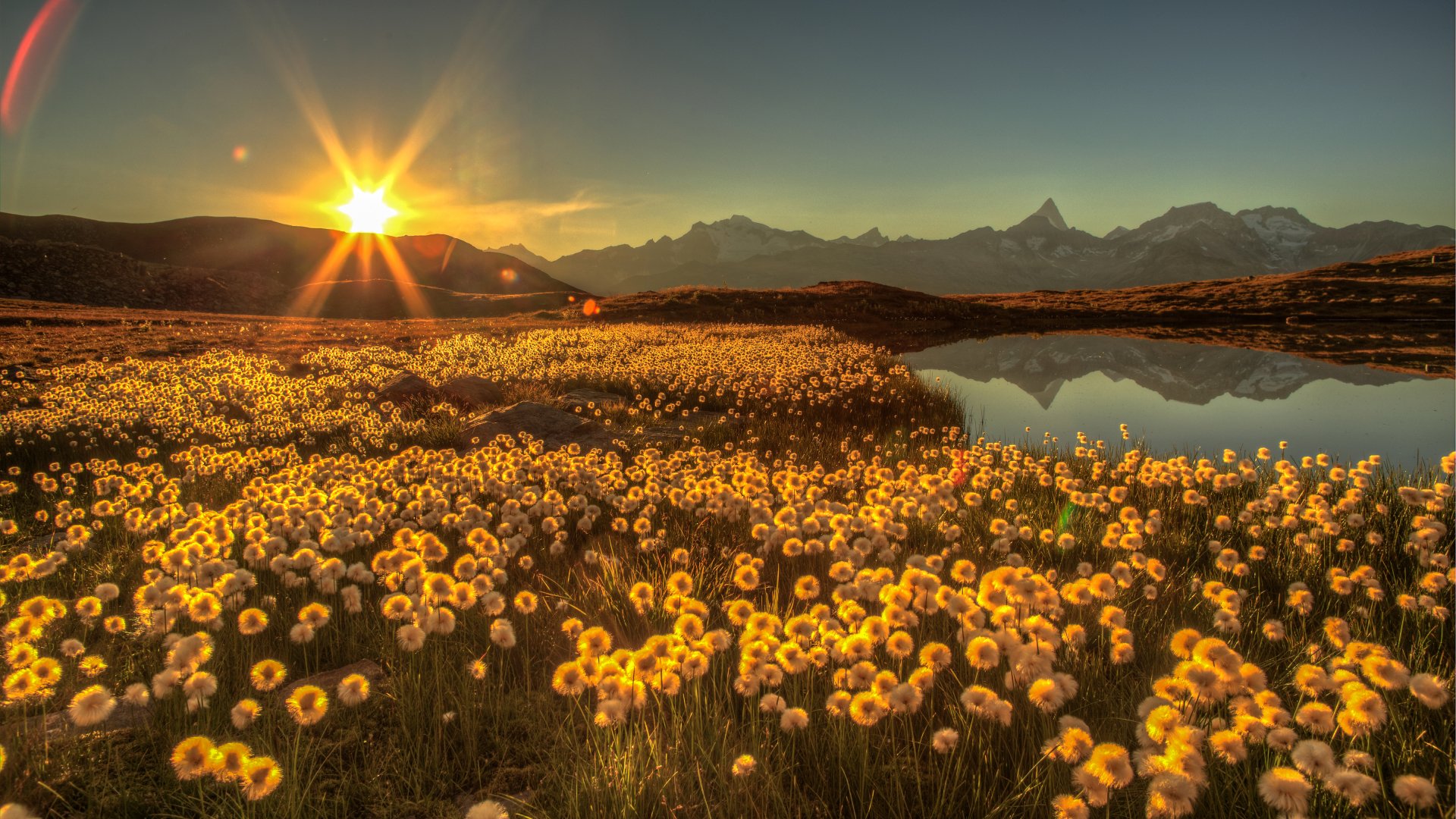 Download Mountain Lake Sun Sunbeam Flower Nature Landscape 4k Ultra HD ...