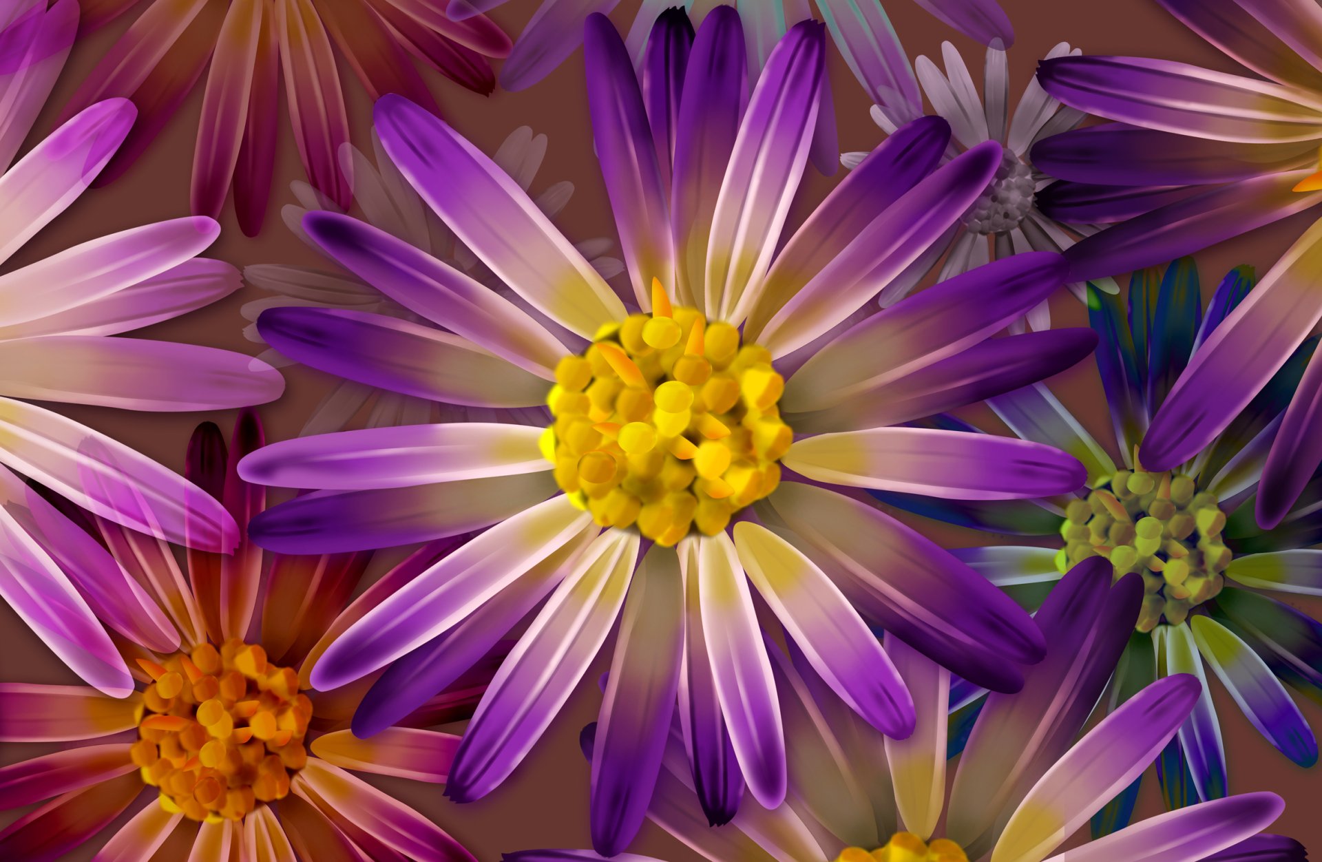 Download Purple Flower Colorful Colors Daisy Petal Artistic Flower HD ...