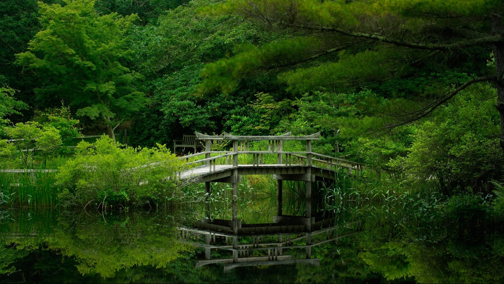 4K Ultra HD Green Forest Bridge Reflection Over Serene River