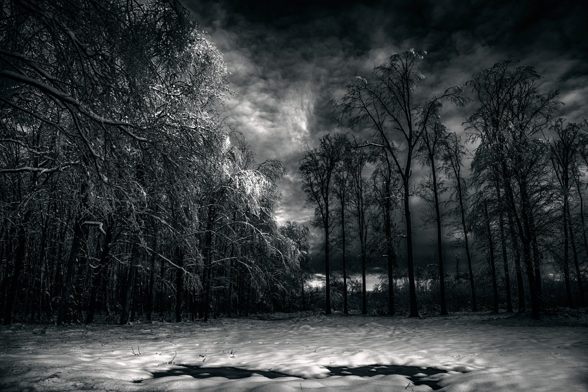 HD Wallpaper: Winter Night's Embrace in Black & White