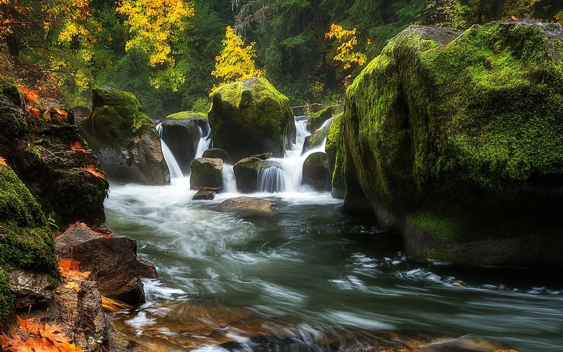 Download Fall Forest Nature Waterfall HD Wallpaper