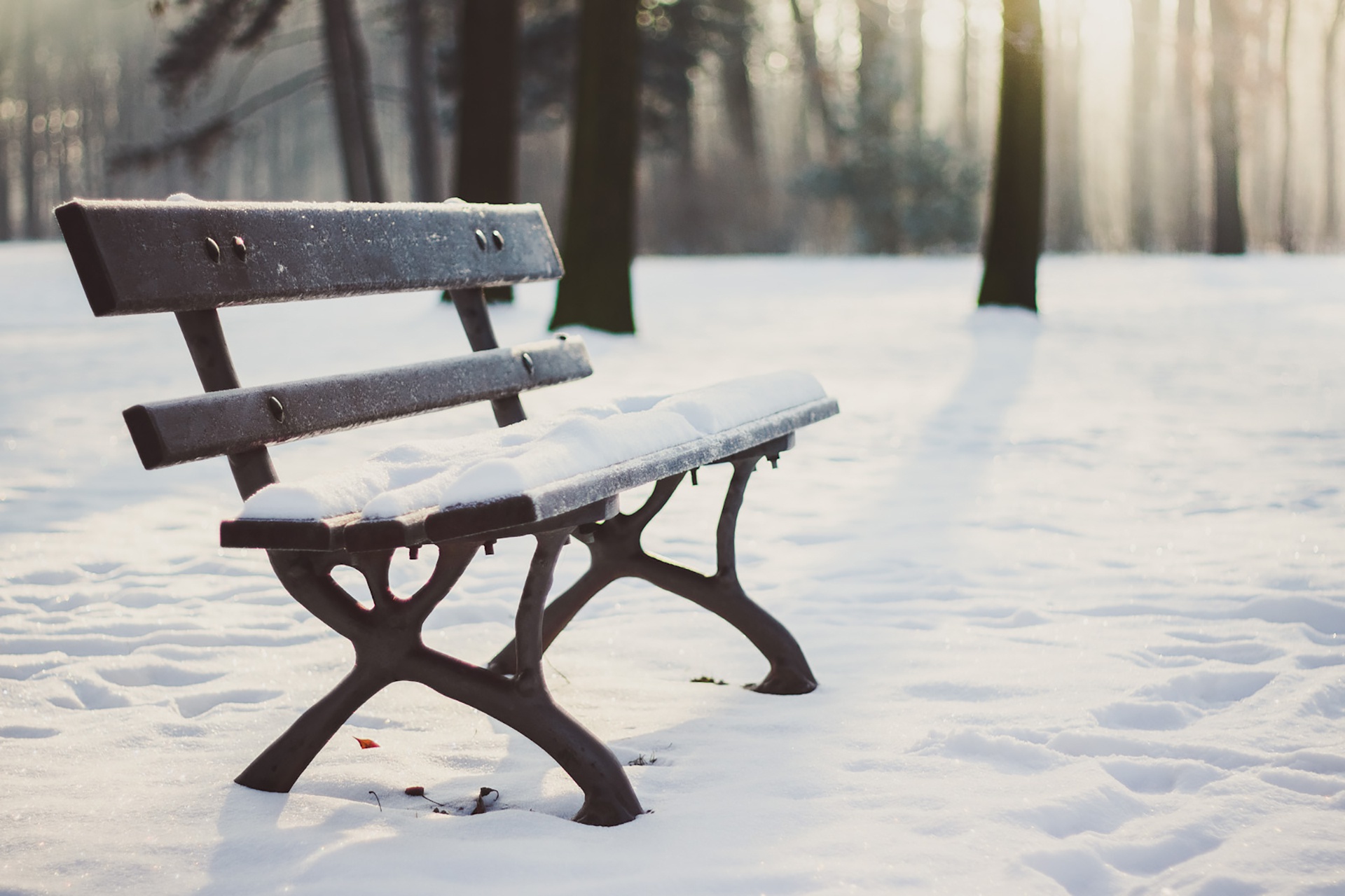 Serene Winter Bench: Snow-Covered Quiet in HD
