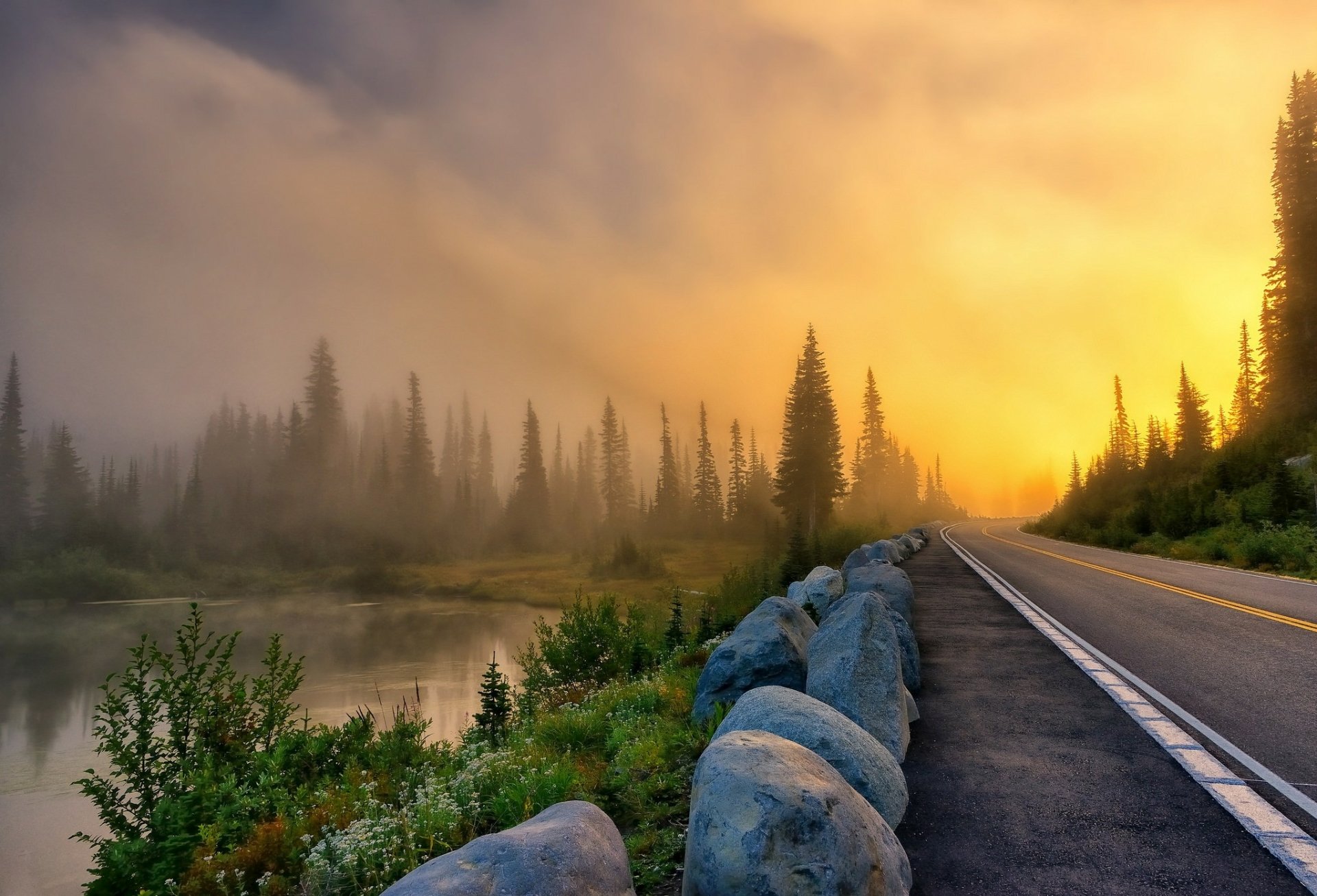 Download Fog Tree Fall Man Made Road Hd Wallpaper