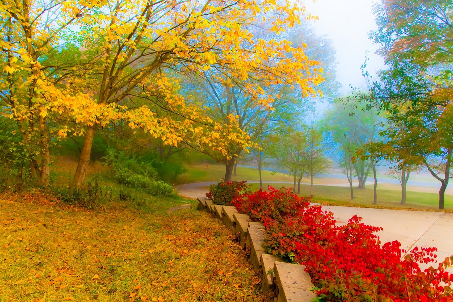 Misty Autumn Park