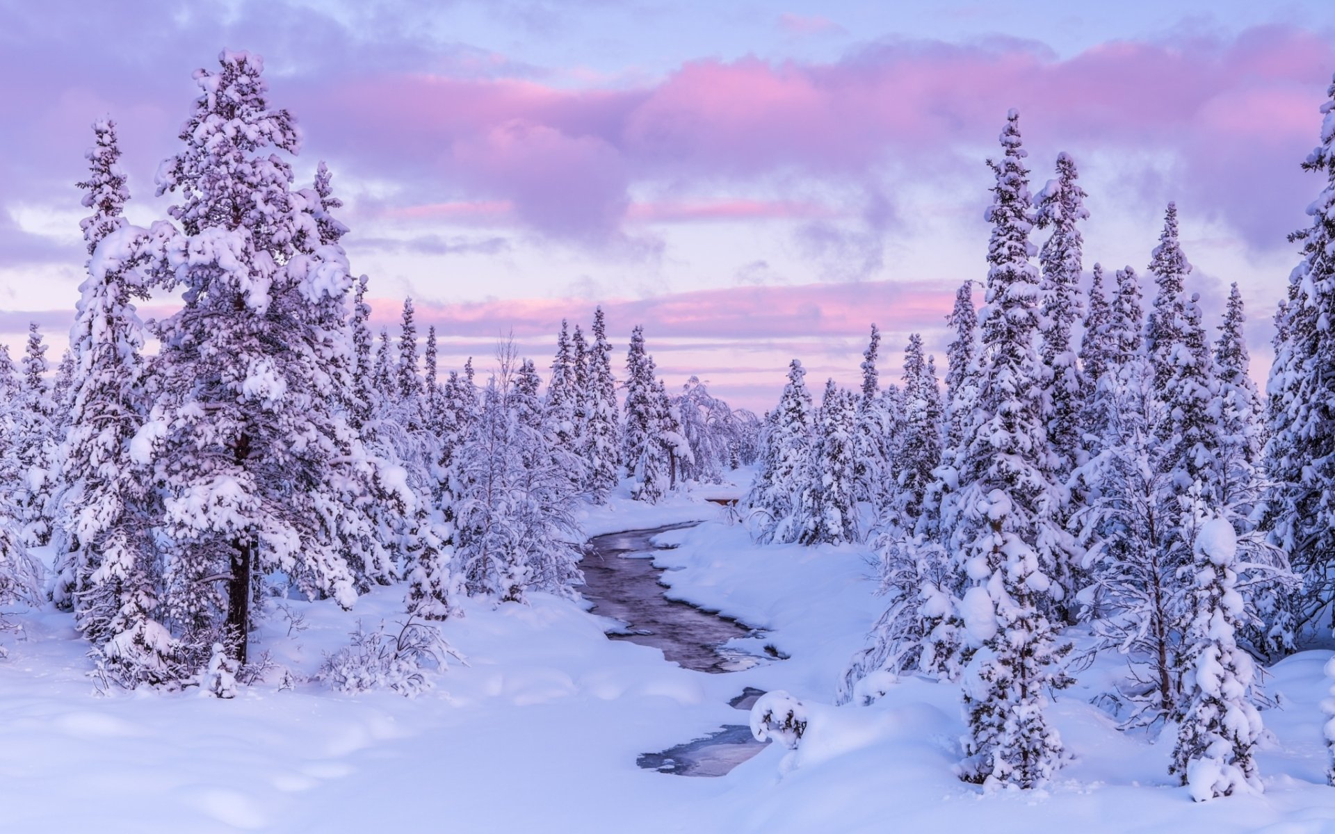 Purple Winter Scenery Wallpaper