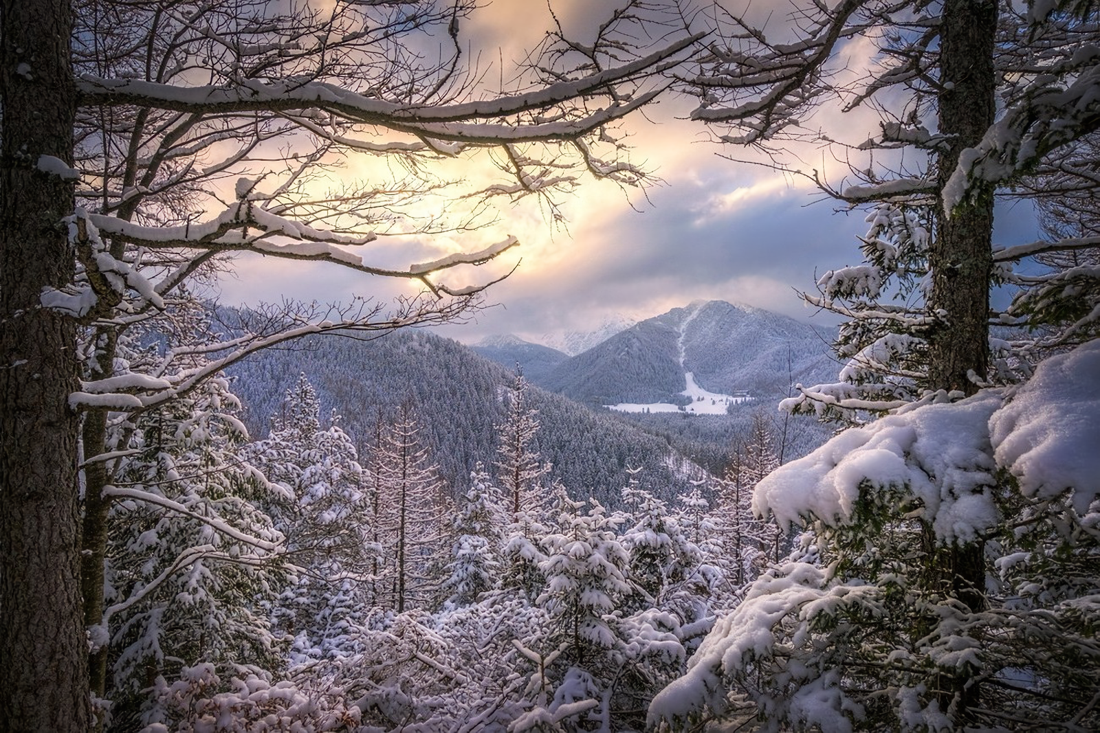 Download Snow Forest Lake Mountain Landscape Nature Winter Snowy Mountain Wallpaper by Tomasz ...