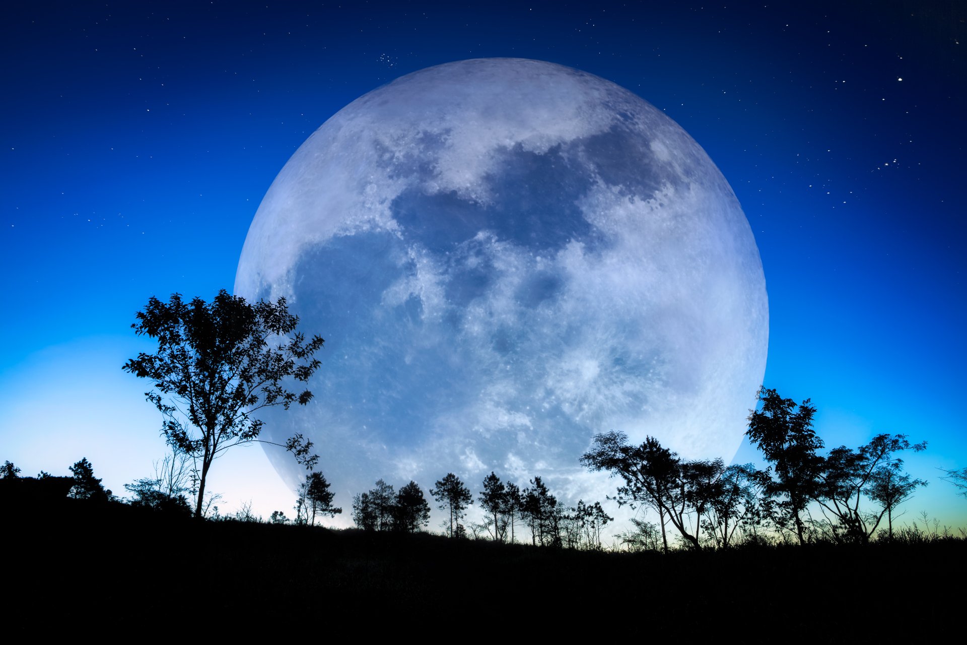 Moonlit Night: 4K Ultra HD Wallpaper