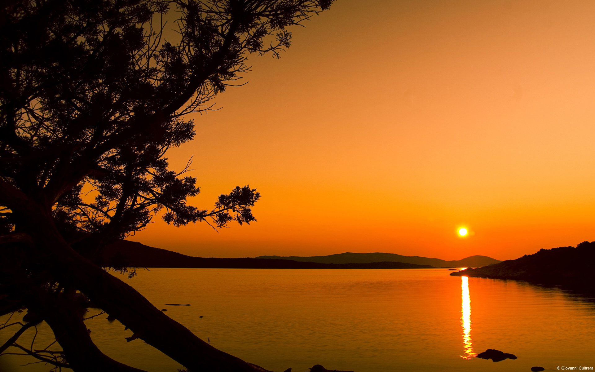 Sunset Silhouettes: Serene Lake and Tree HD Wallpaper