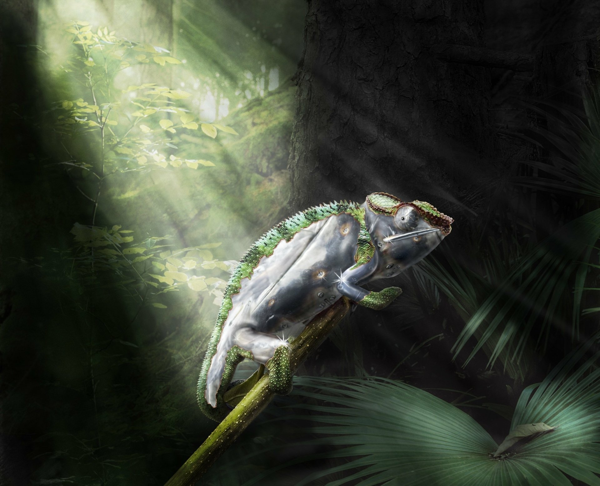 Download Chameleon Lizard Sunbeam Sci Fi Robot HD Wallpaper