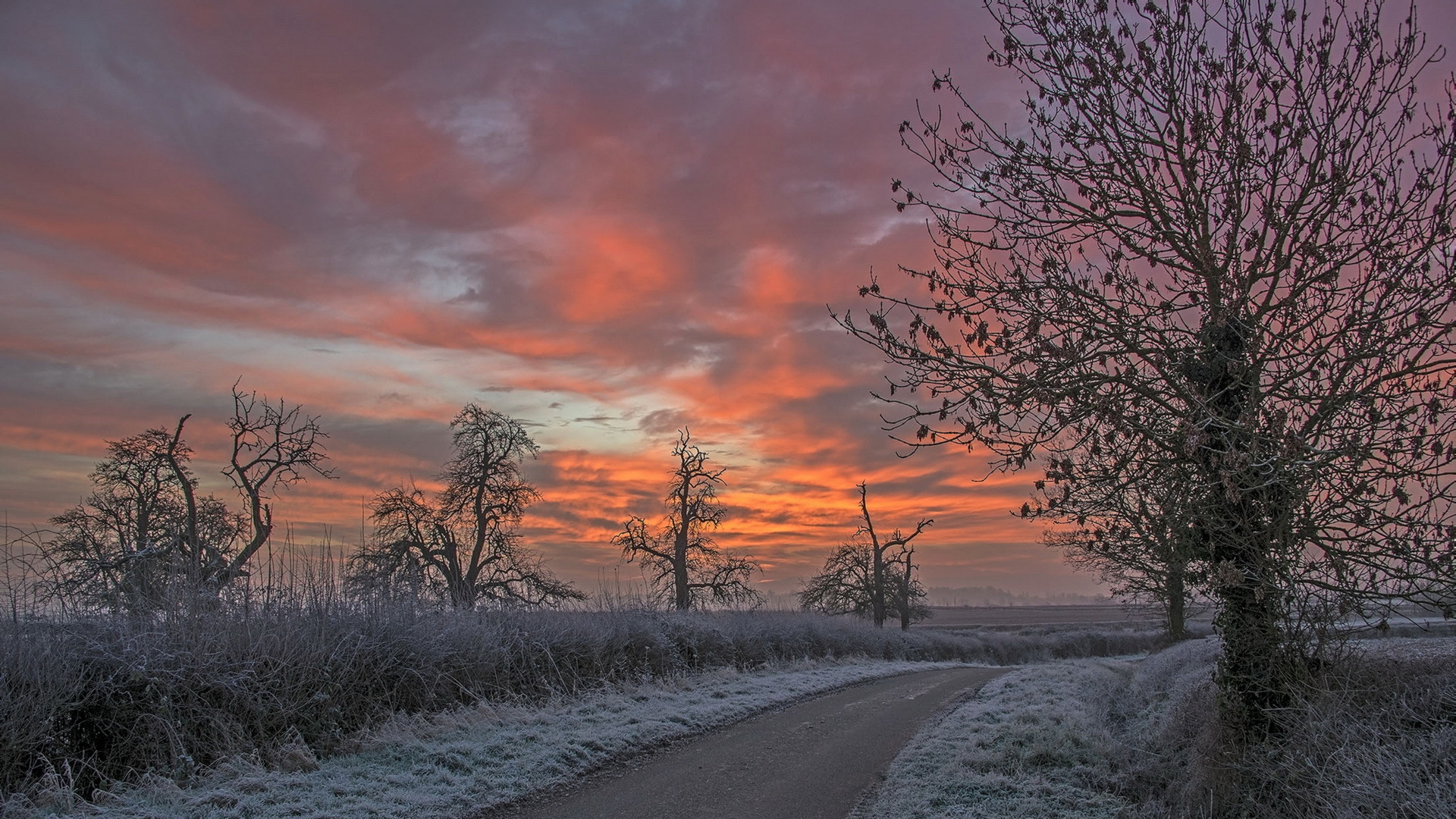 Winter Road at Sunset