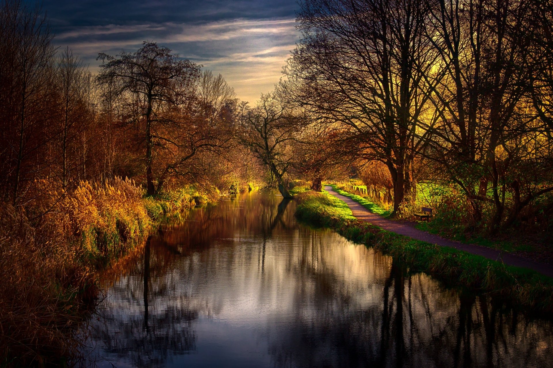 Download Tree Path Reflection Nature River HD Wallpaper