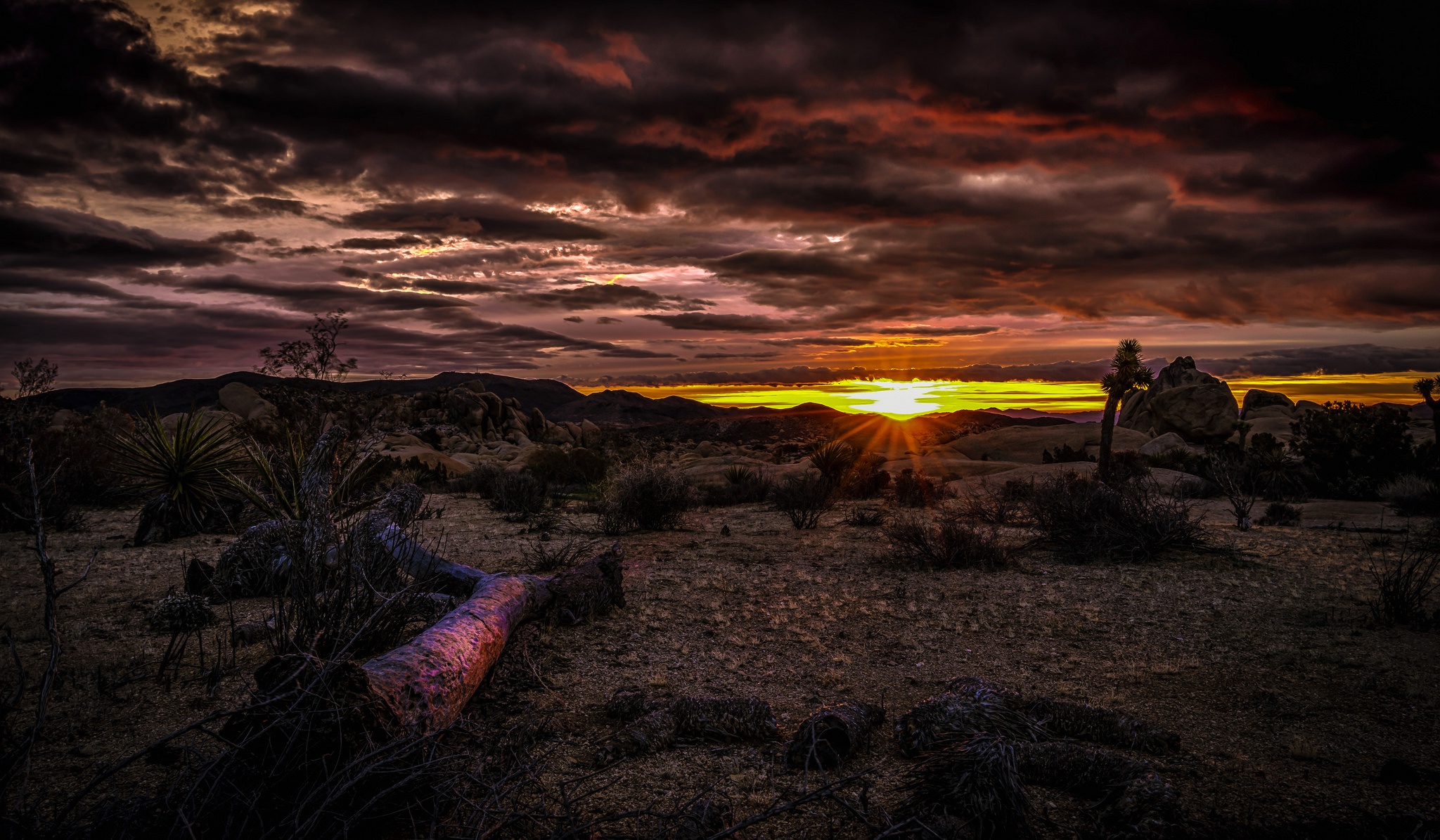 Amazing Desert Photography Wallpaper