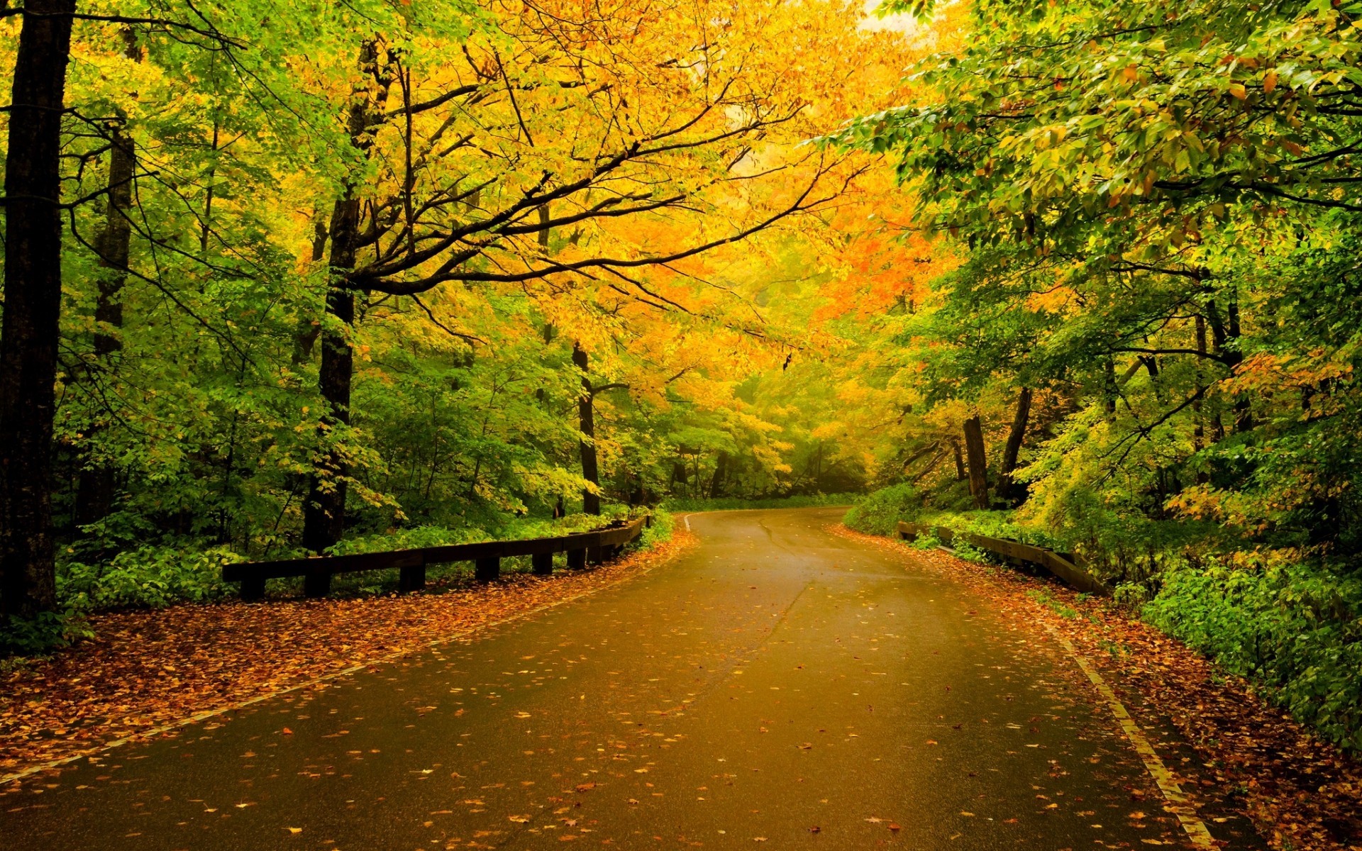 Autumn Road Hd Wallpaper