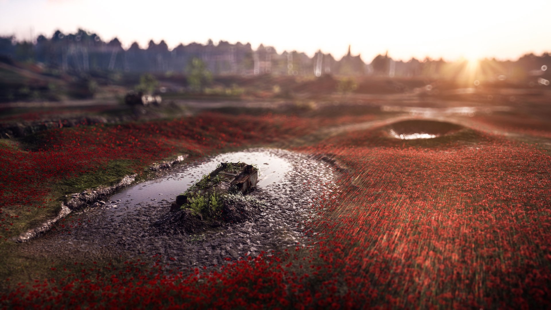 Sunlit Poppies of Battlefield 1 – Stunning HD Video Game Wallpaper by ...