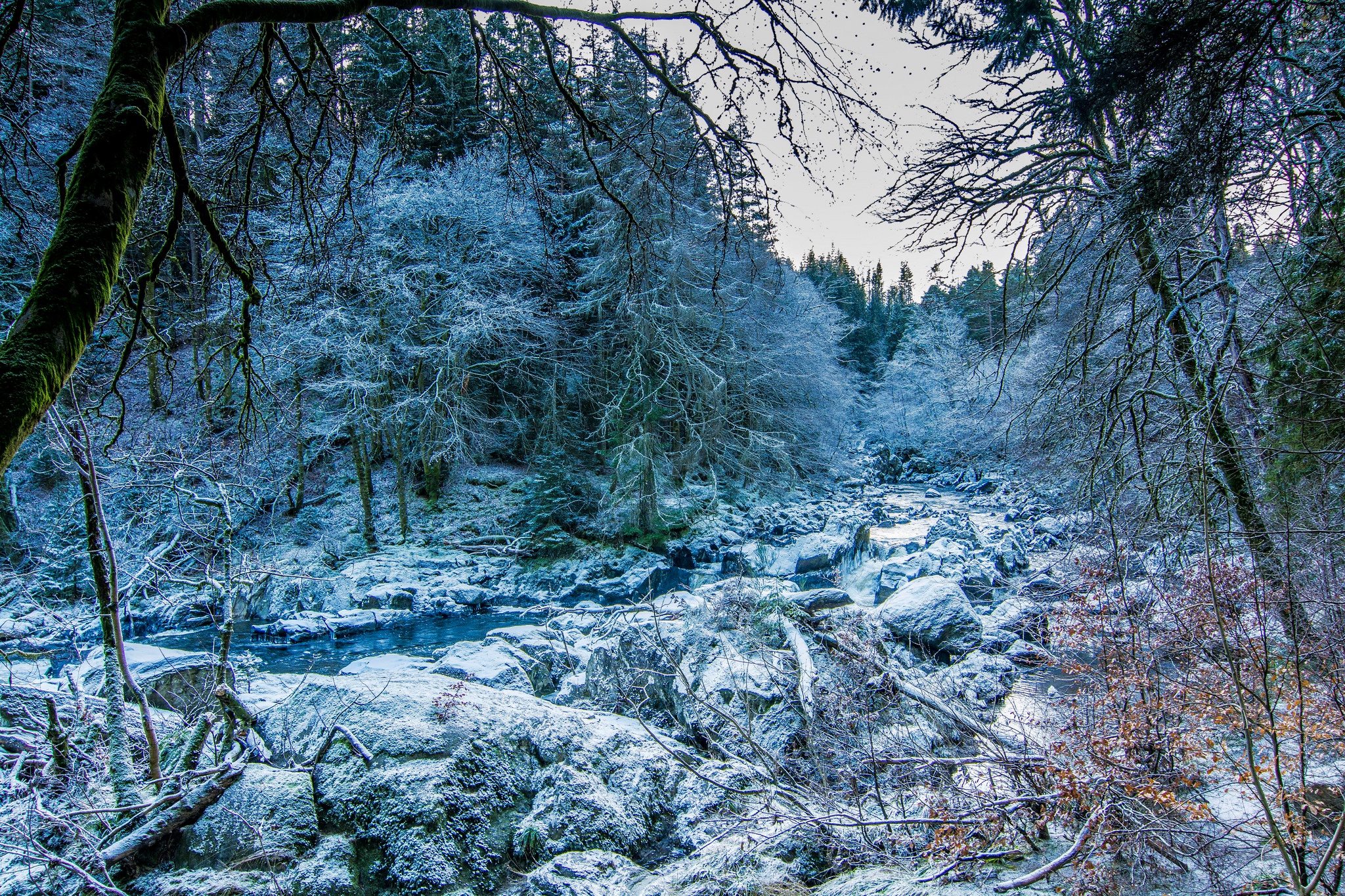 Download Forest Winter Nature Stream HD Wallpaper