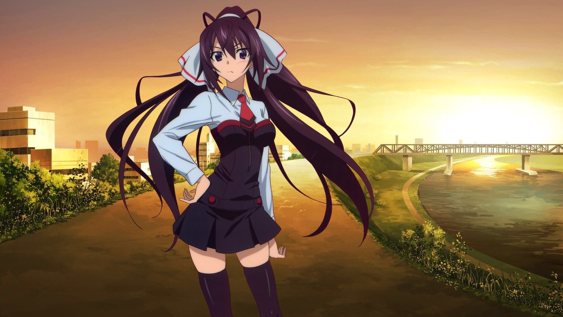 Houki Shinonono Sunset - Infinite Stratos HD Anime Wallpaper