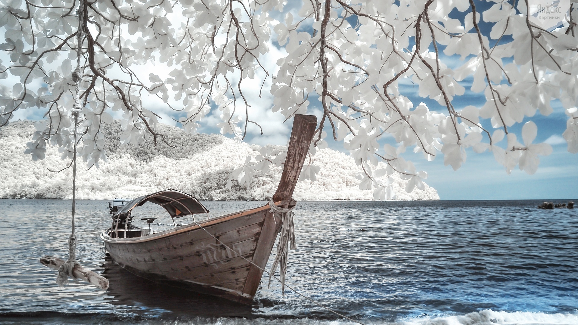 Speed Boat Hd Wallpapers 1080p