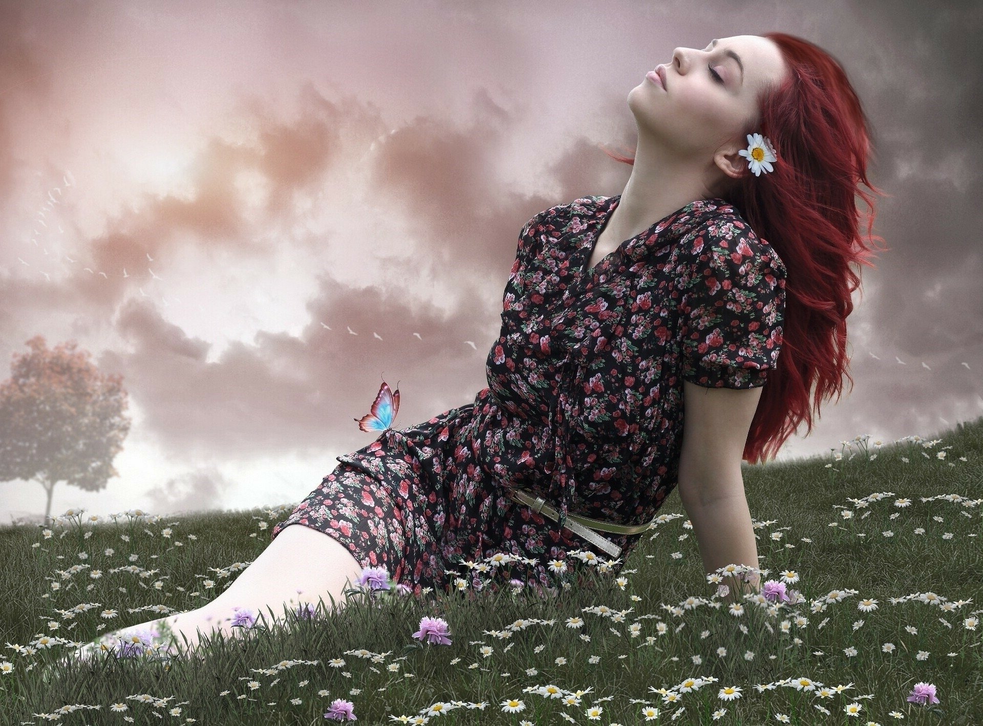 Download Butterfly Spring Meadow Field Woman Mood HD Wallpaper ...