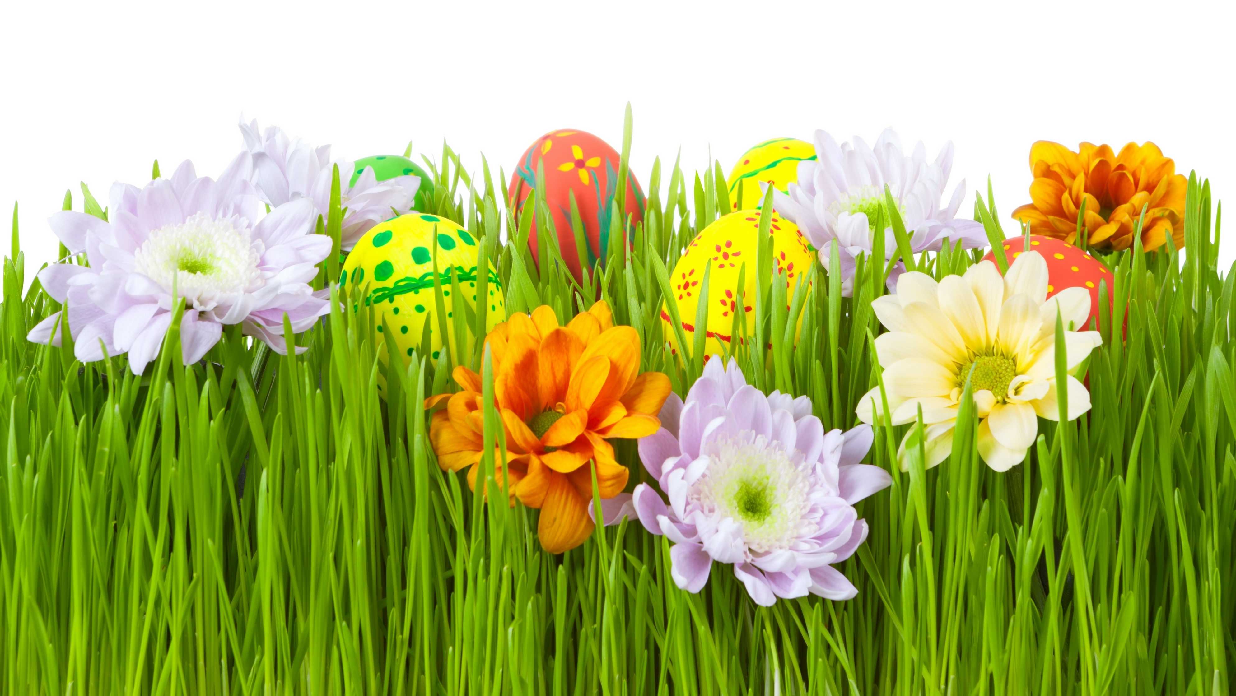 Wallpaper Flowers Eggs Spring