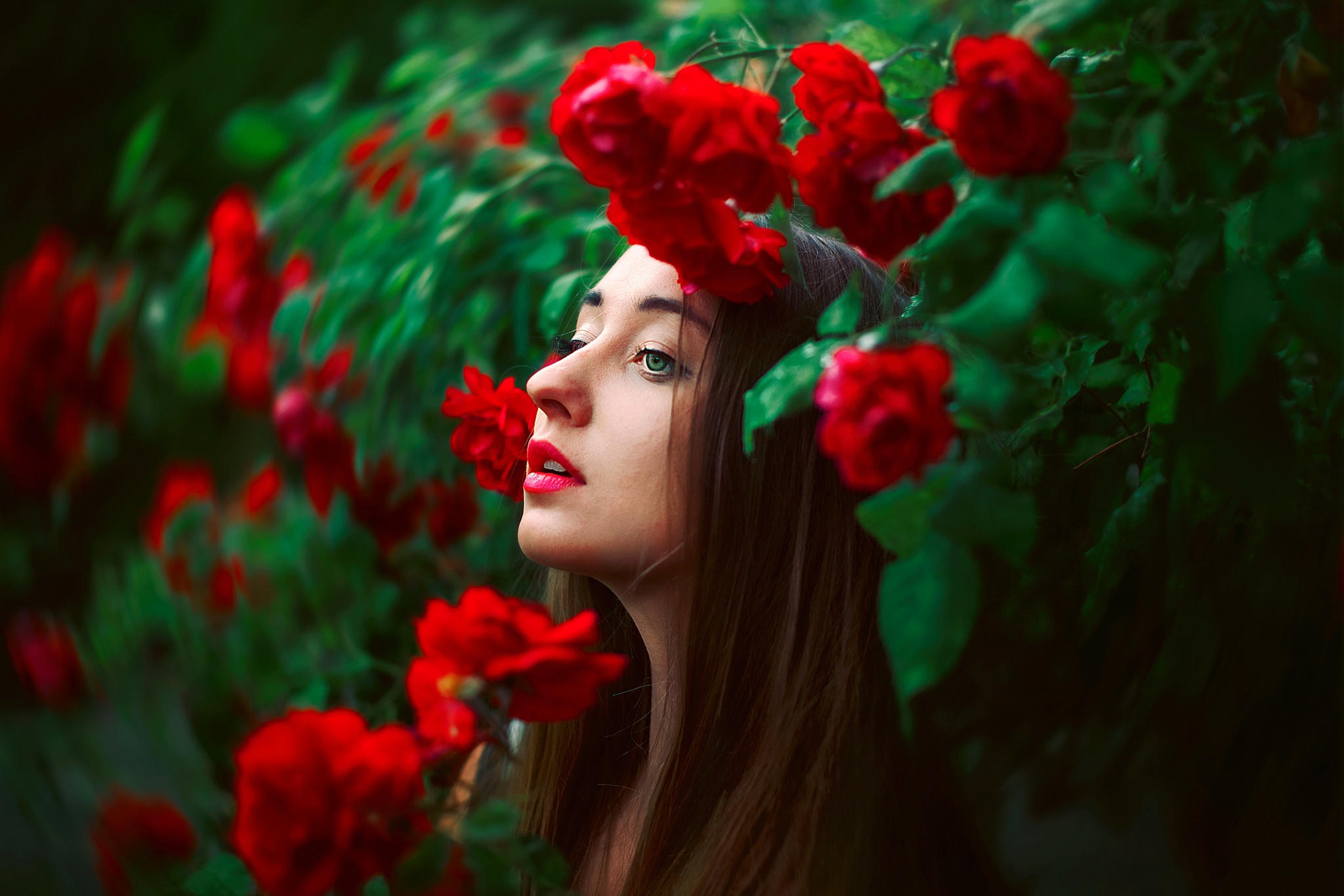 Download Red Flower Flower Lipstick Brunette Green Eyes Model Woman