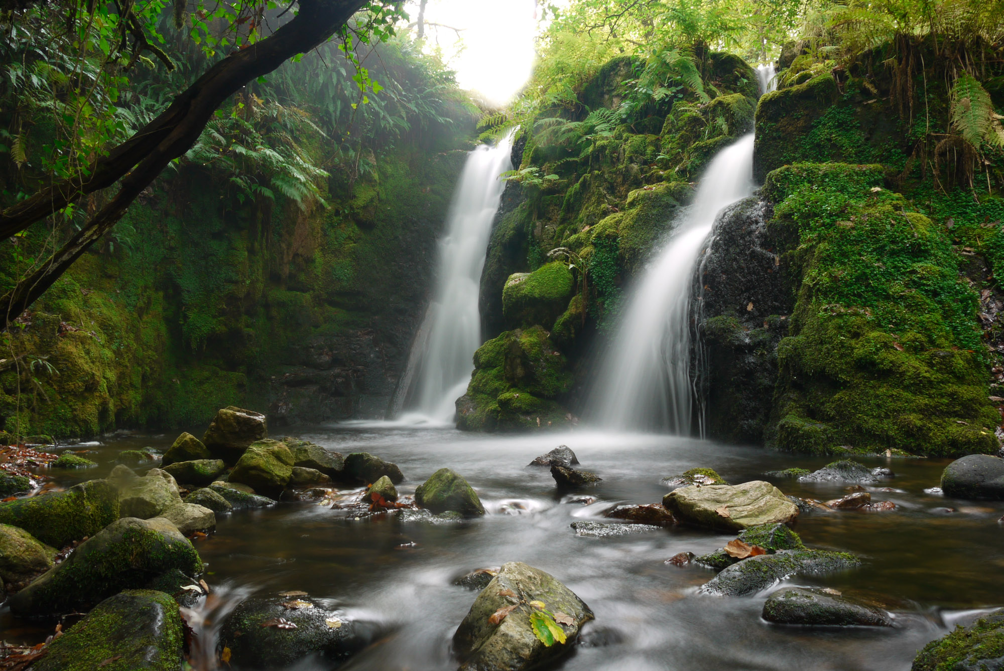 Download Green Forest Nature Waterfall HD Wallpaper by Paul Harris