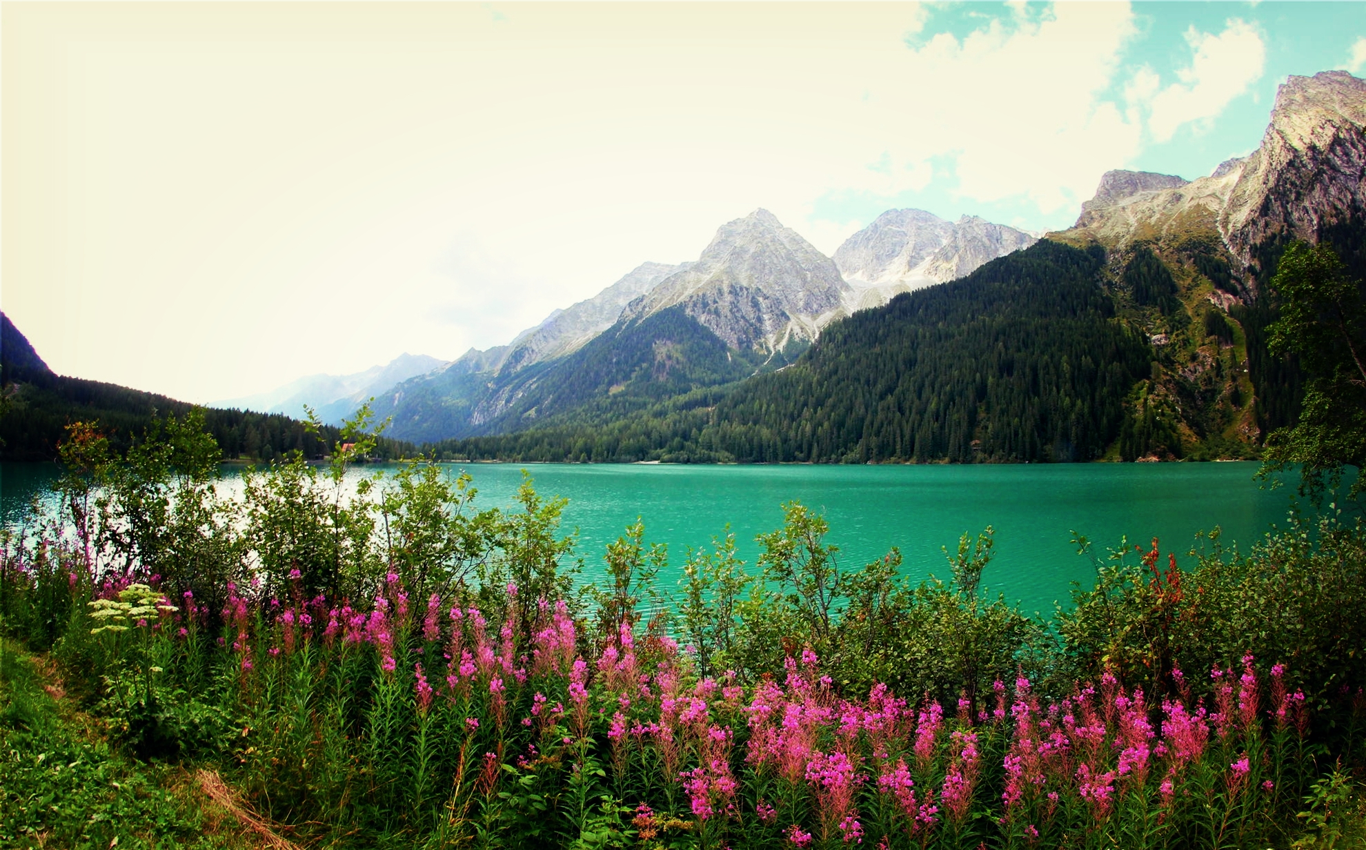 Serene Spring: HD Wallpaper of Pink Flowers by a Mountain Lake