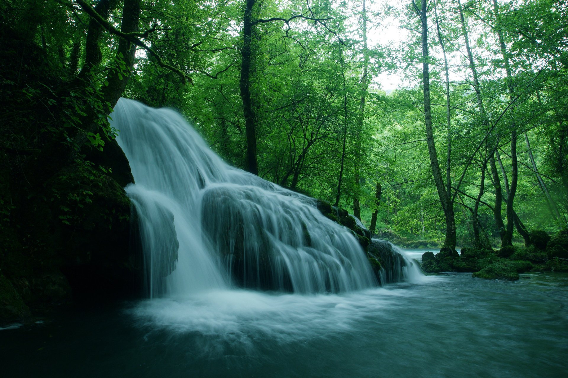 Download Green Forest Nature Waterfall HD Wallpaper by Franck FERET