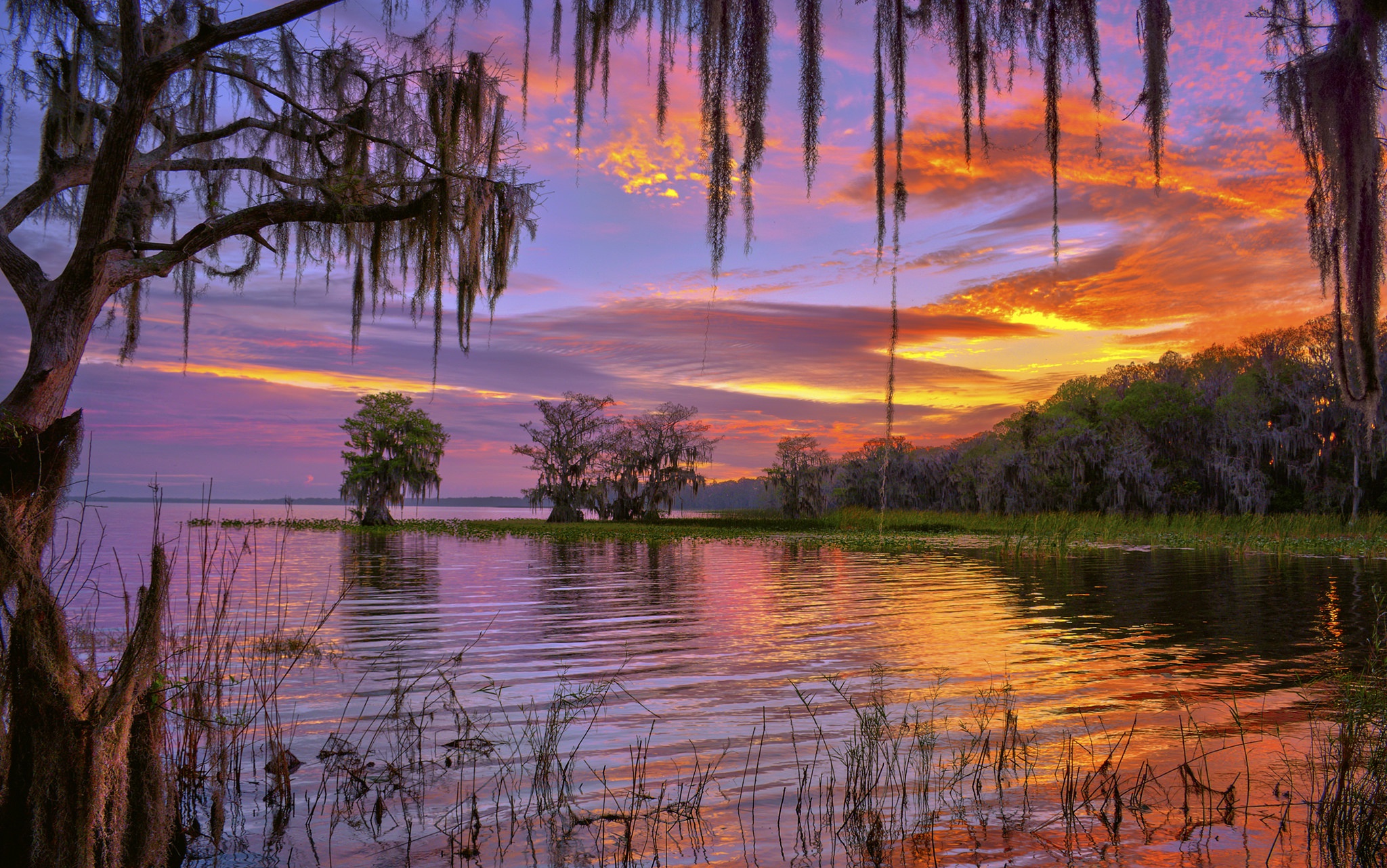 Sunset Serenity: HD Nature Wallpaper of Trees, Clouds, and Lake Reflections