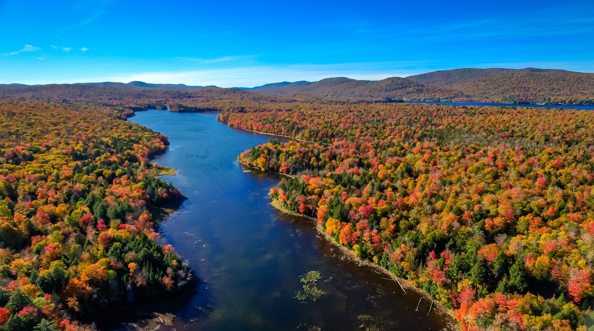 Autumn River Bliss: Aerial HD Fall Forest Landscape