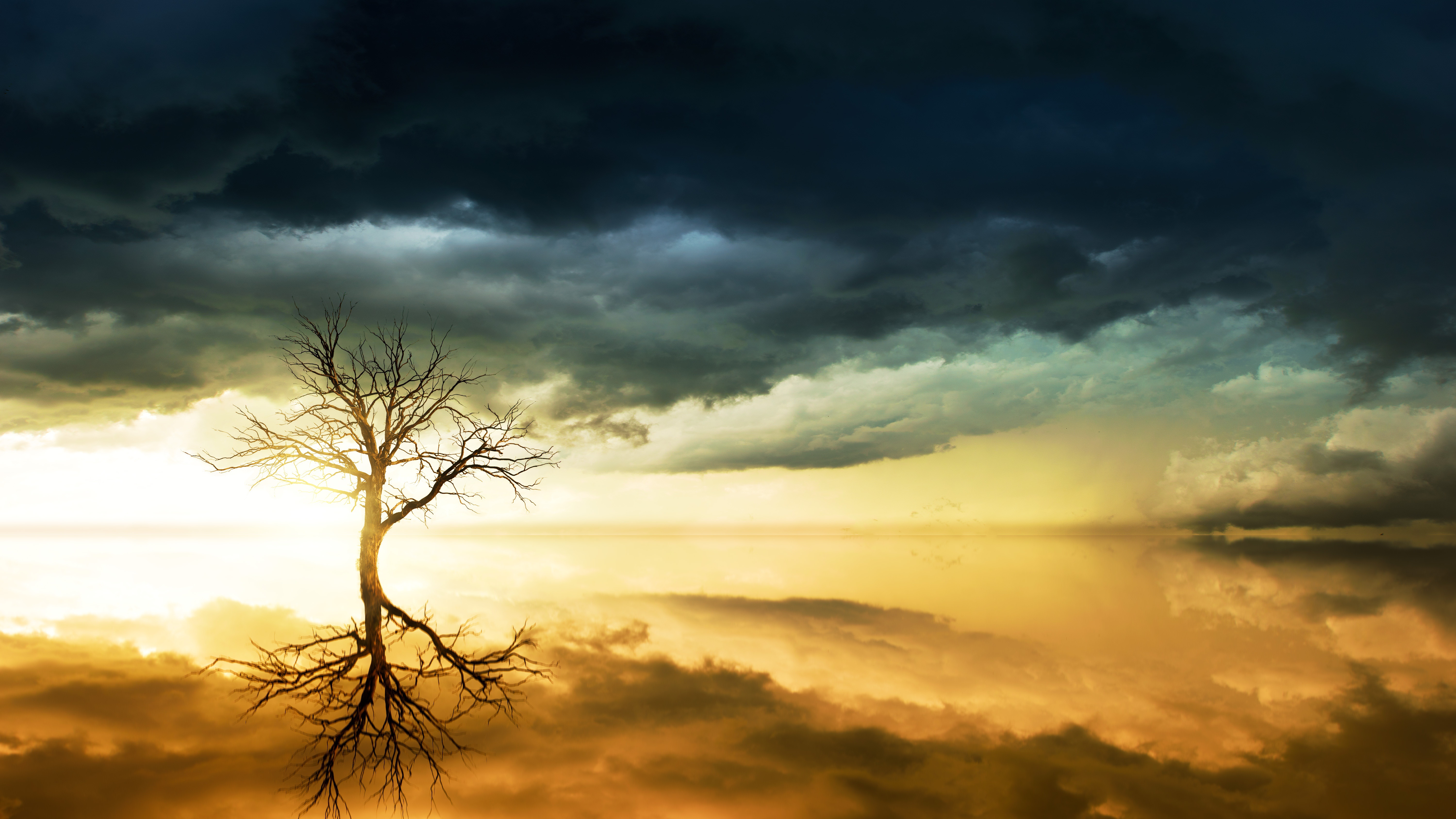 Download Ocean Cloud Lonely Tree Horizon Reflection Nature Tree 4k ...