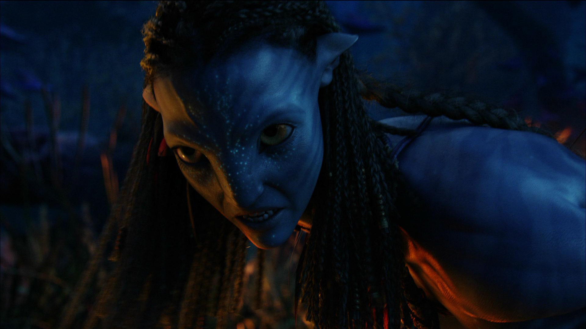 Download Movie Avatar HD Wallpaper