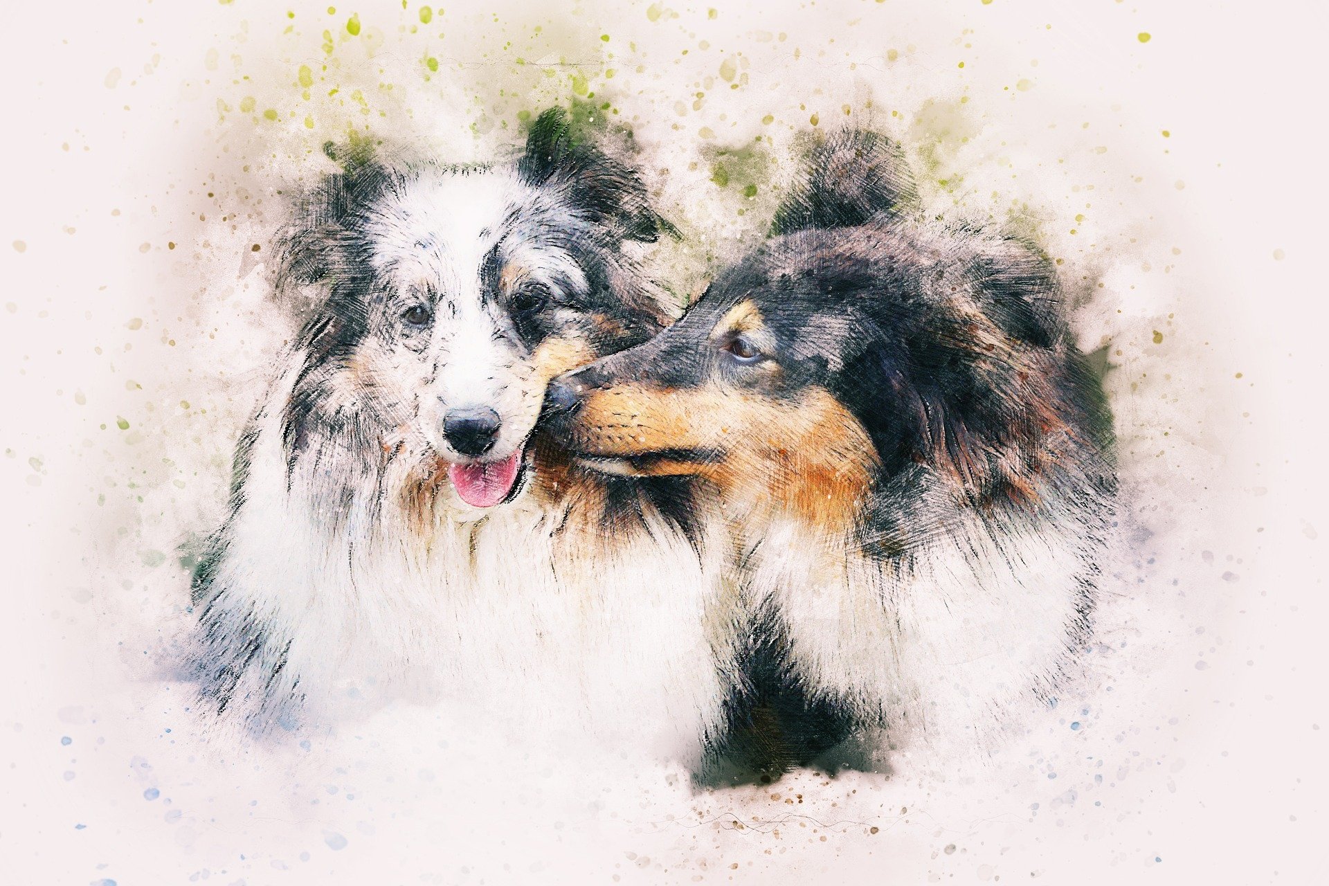 Watercolor Dog Kiss - HD Rough Collie Wallpaper by ractapopulous