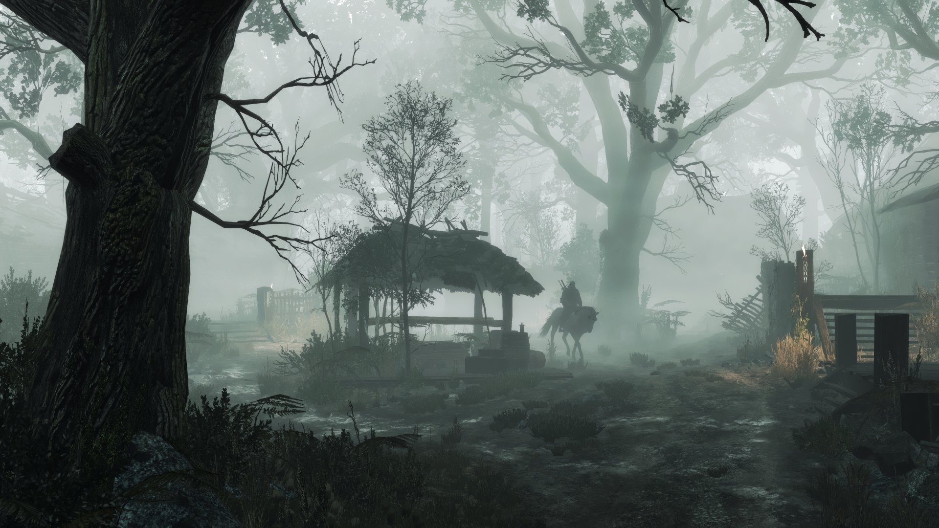 The Witcher 3: Wild Hunt – Foggy Forest 4K Ultra HD Wallpaper by de:mo