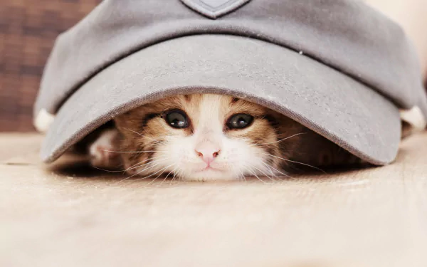 Akali in Subway - League of Legends HD Wallpaper by Wang Ling