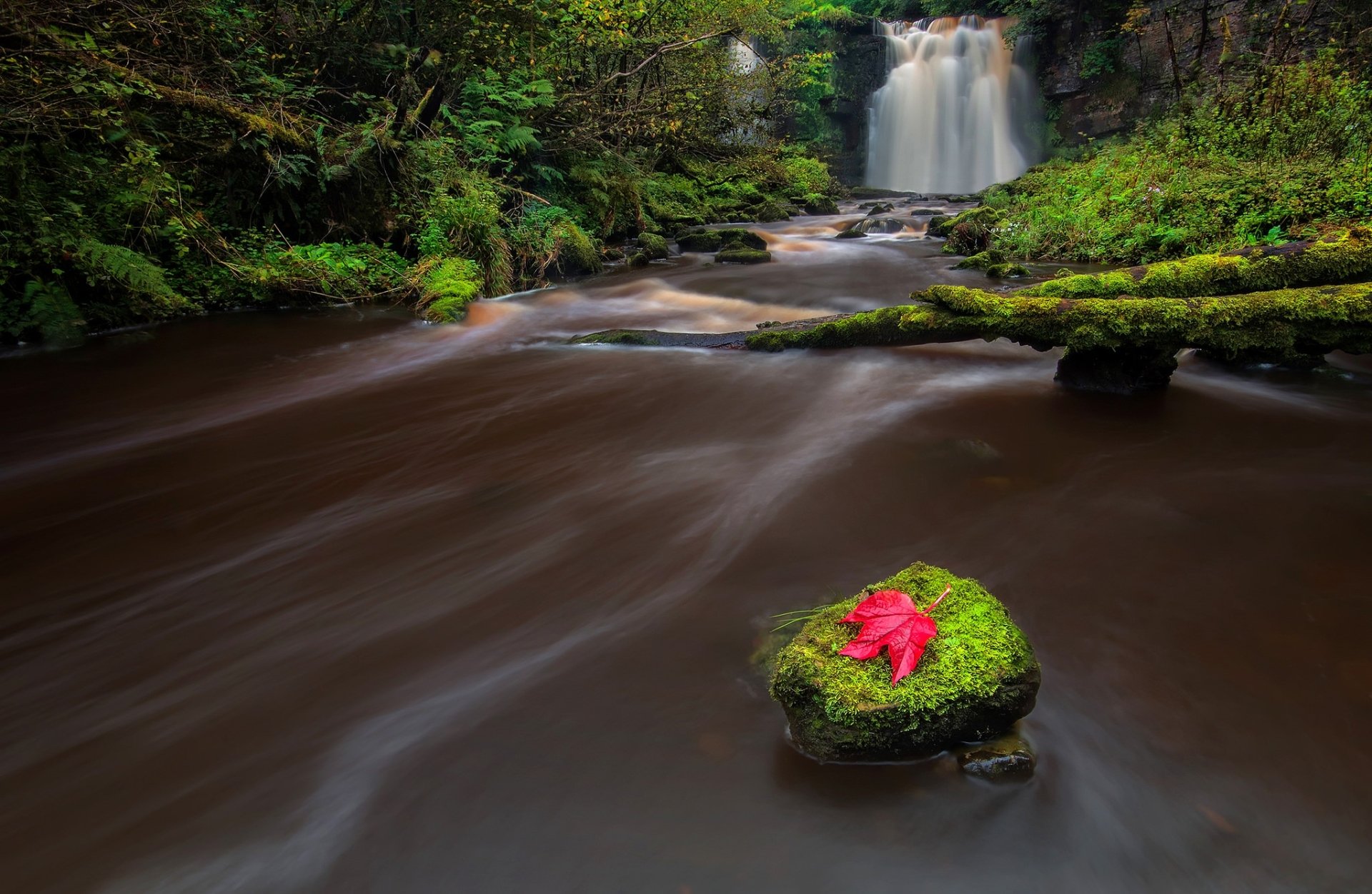 Download Leaf Waterfall Moss Nature River HD Wallpaper