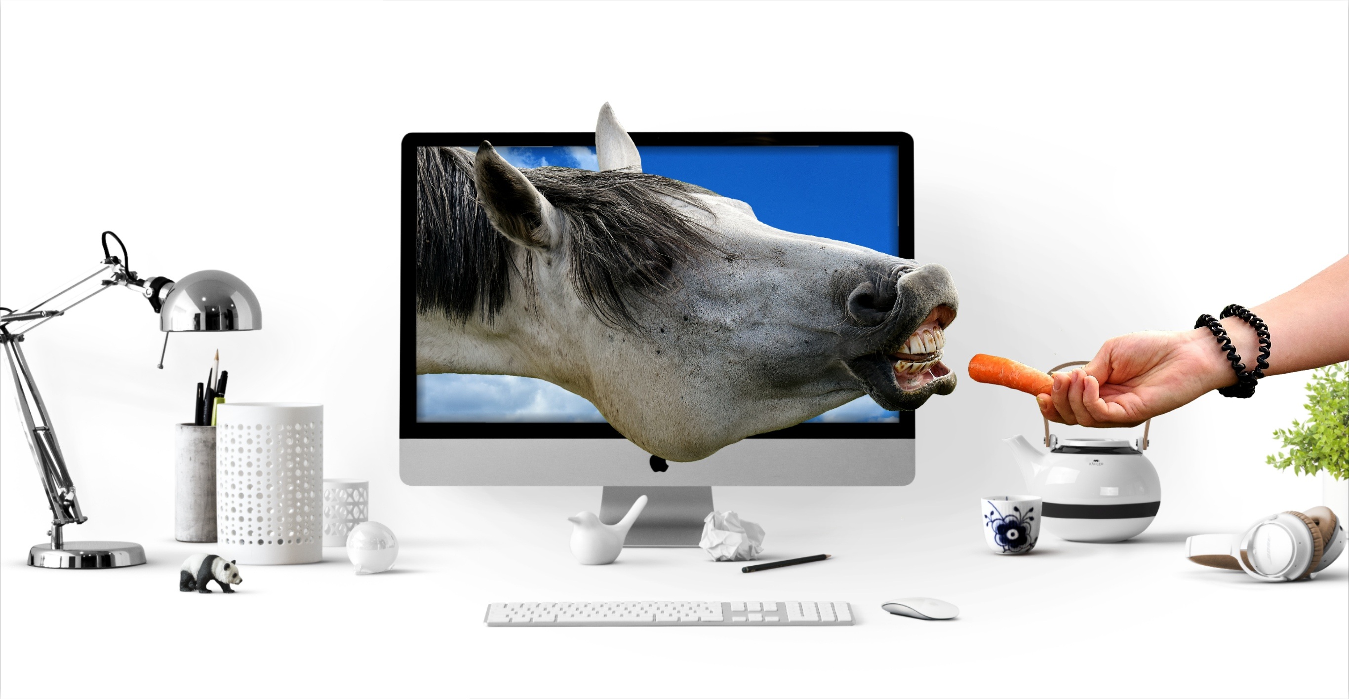 Horse Head coming out of a Computer by Alexas_Fotos