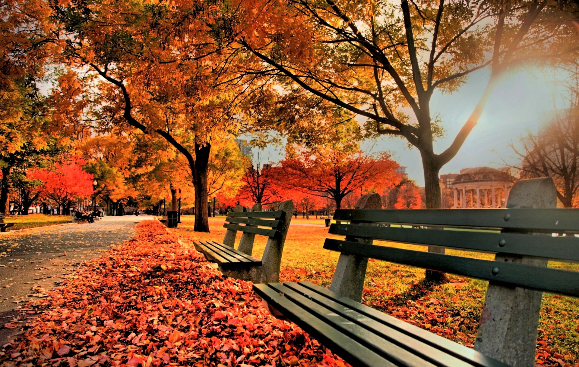 Autumn Glow: Colorful Leaves and Quiet Park Bench in 4K Ultra HD