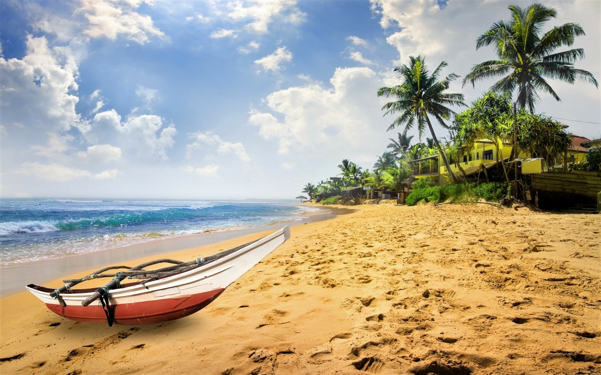 Download Horizon Palm Tree Sea Ocean Beach Tropical Canoe Vehicle Boat ...